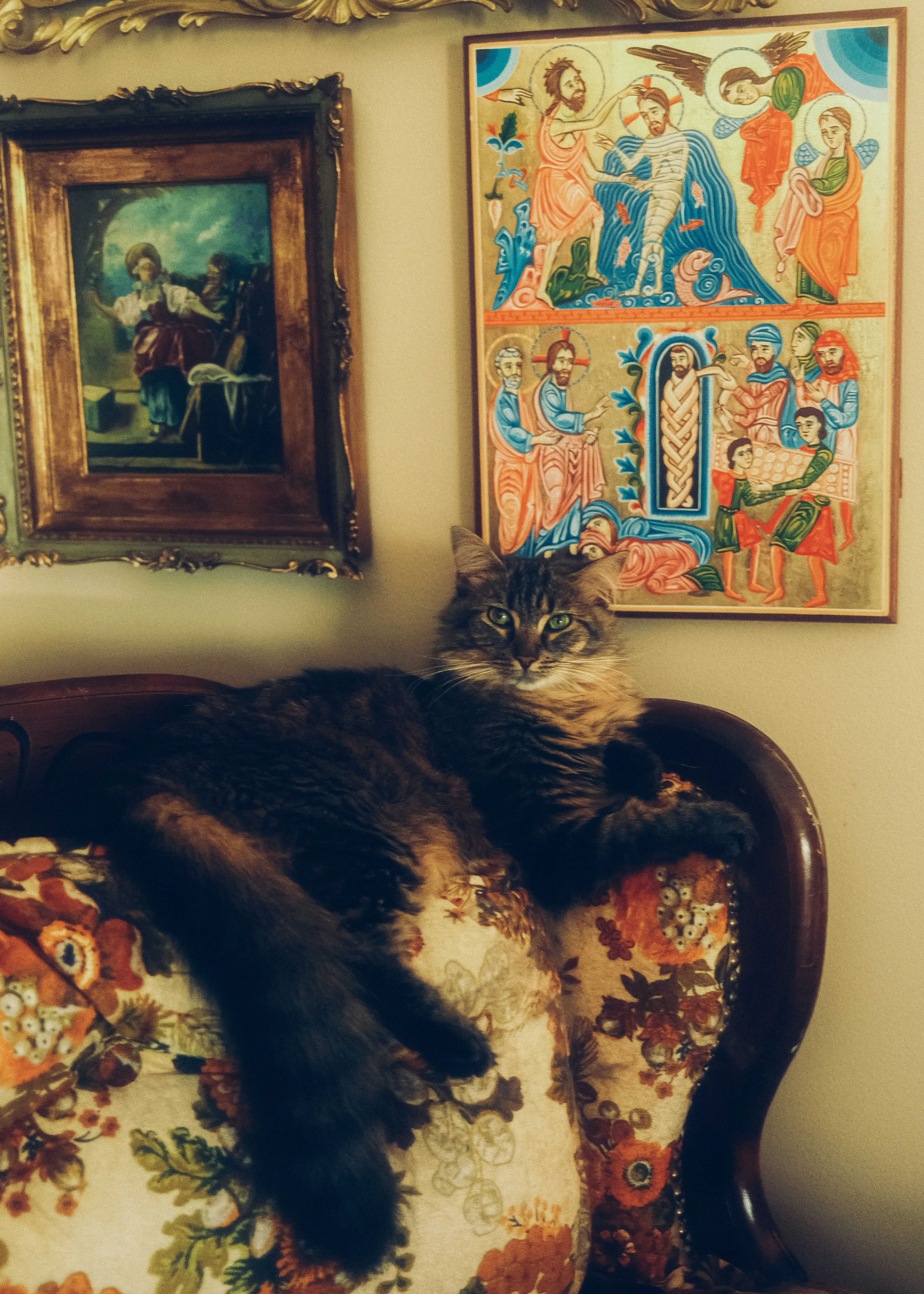 Cat on a Floral Settee Beneath Two Framed Artworks