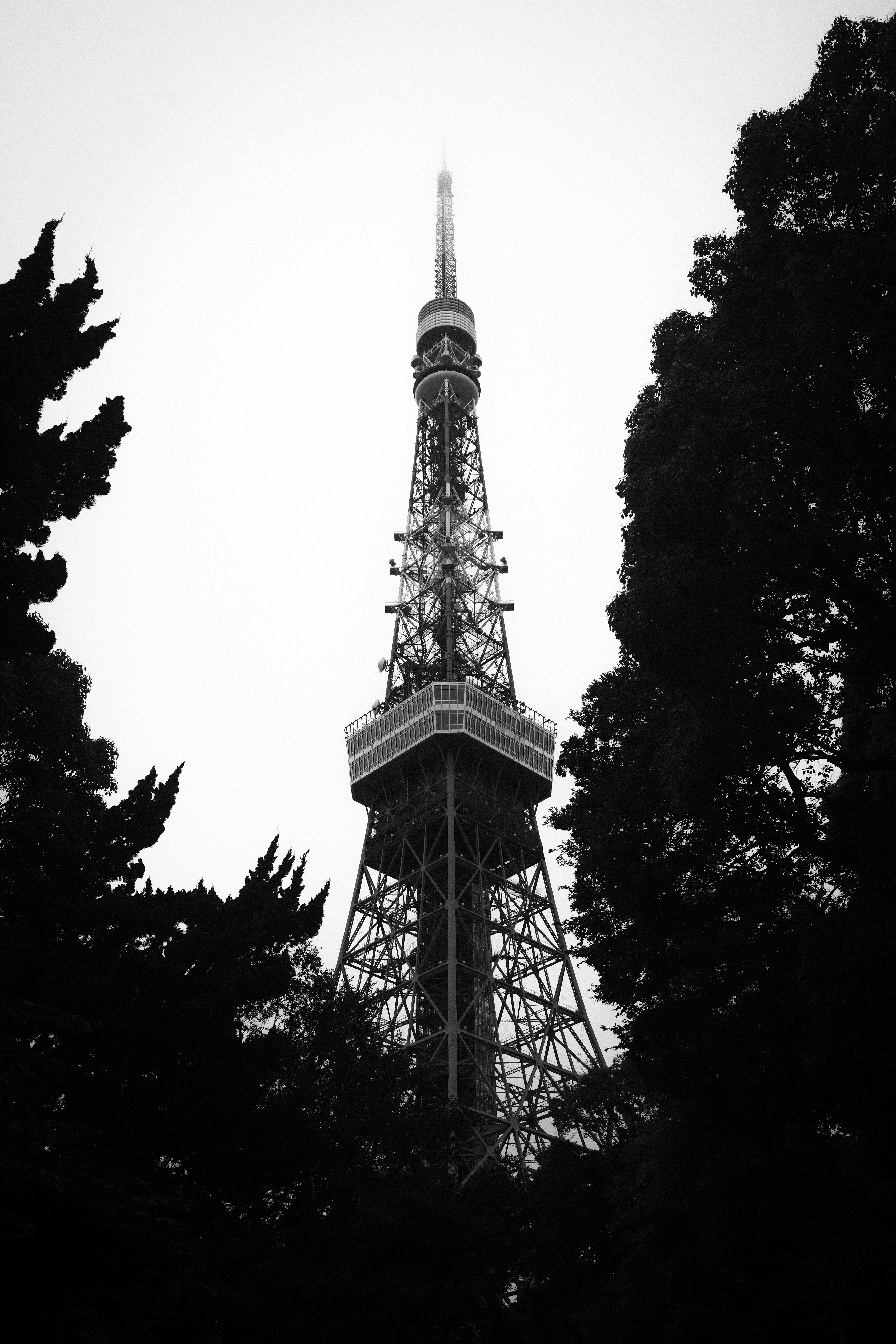 Tokyo Tower in Monochrome: Steel Lattice Reaching the Sky