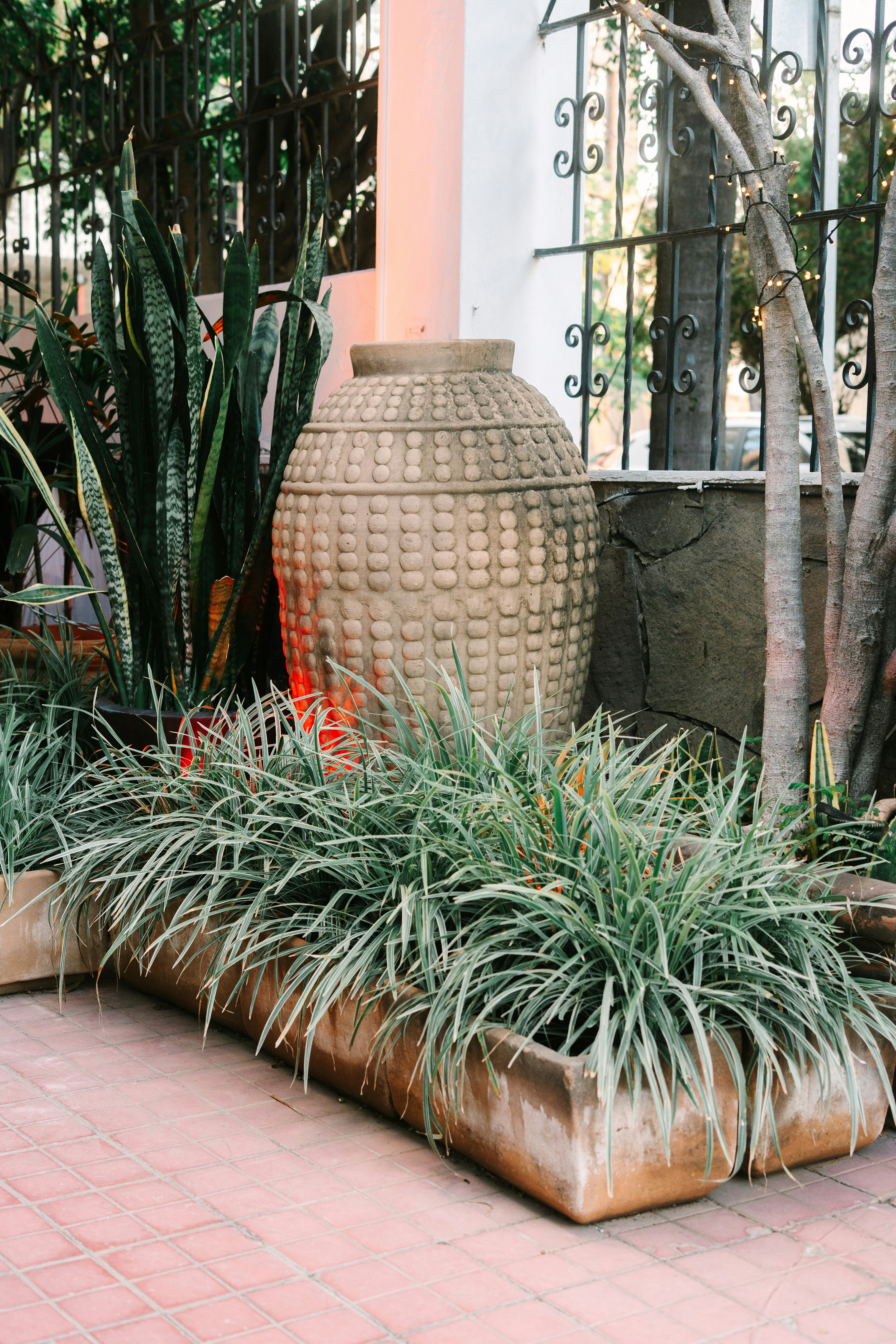 Terracotta Garden Vessel Anchored by Spiky Foliage