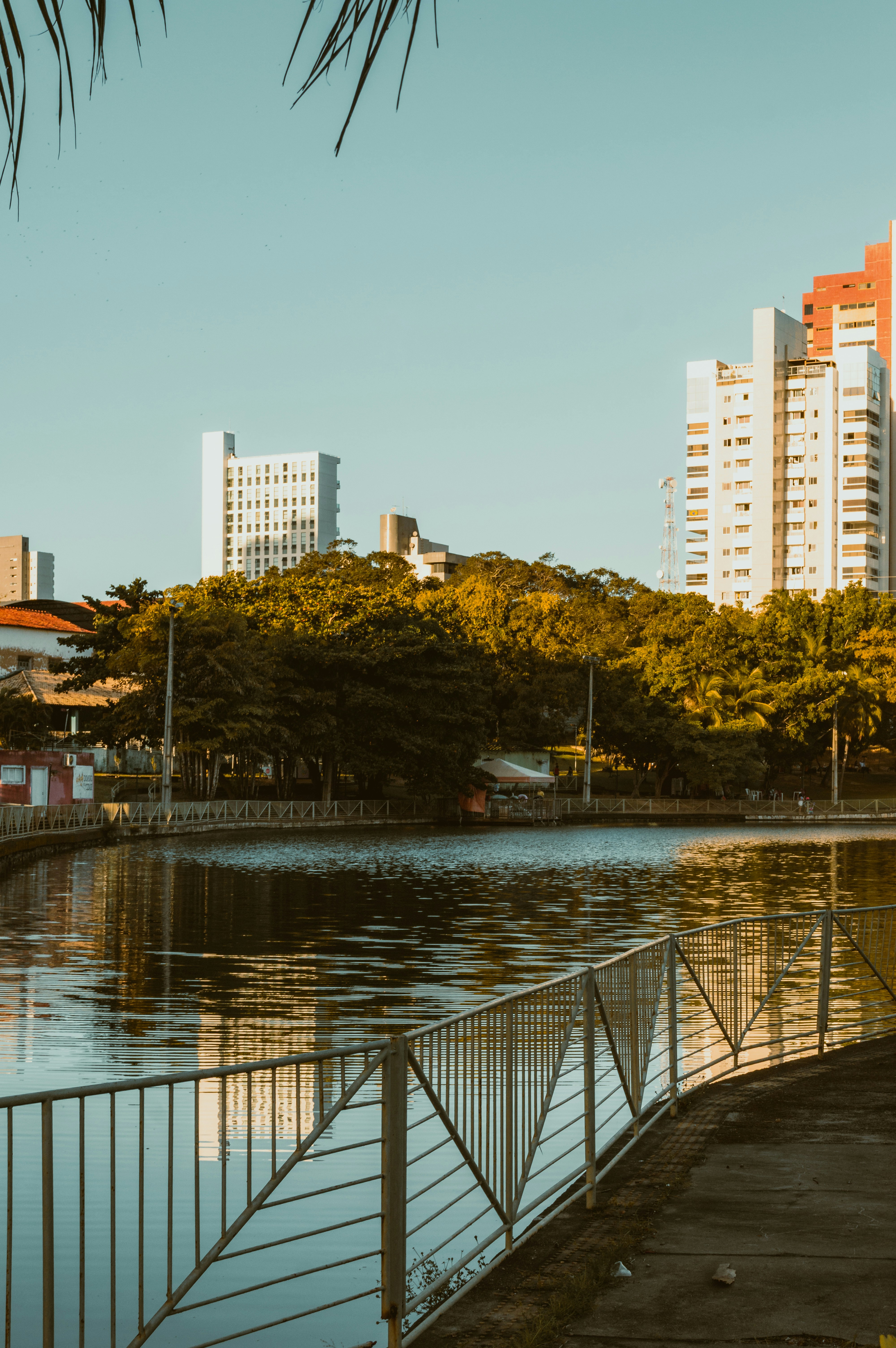 City Reflections by the Waterfront