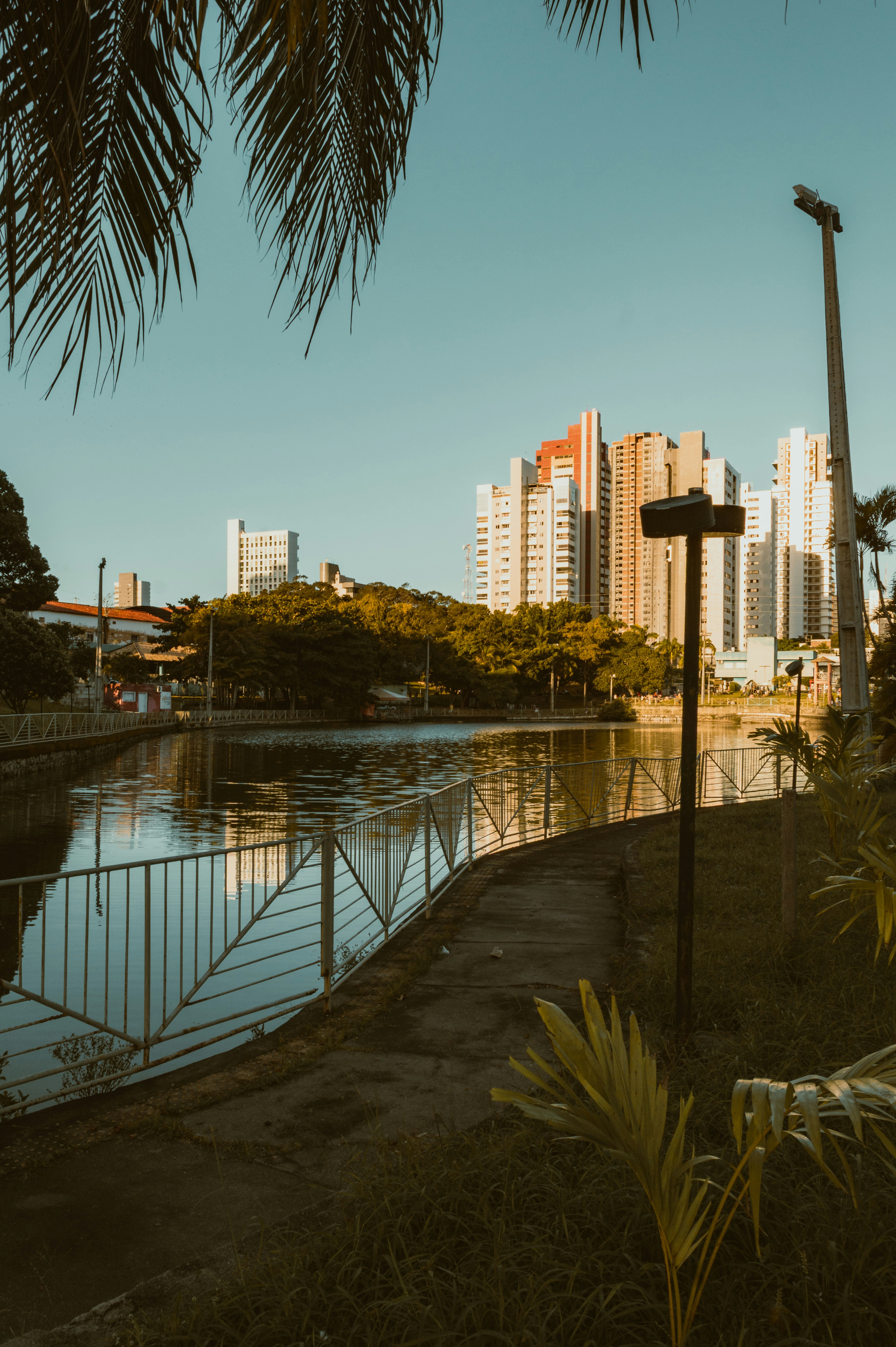Urban Reflections: Riverside Path Toward the Skyline
