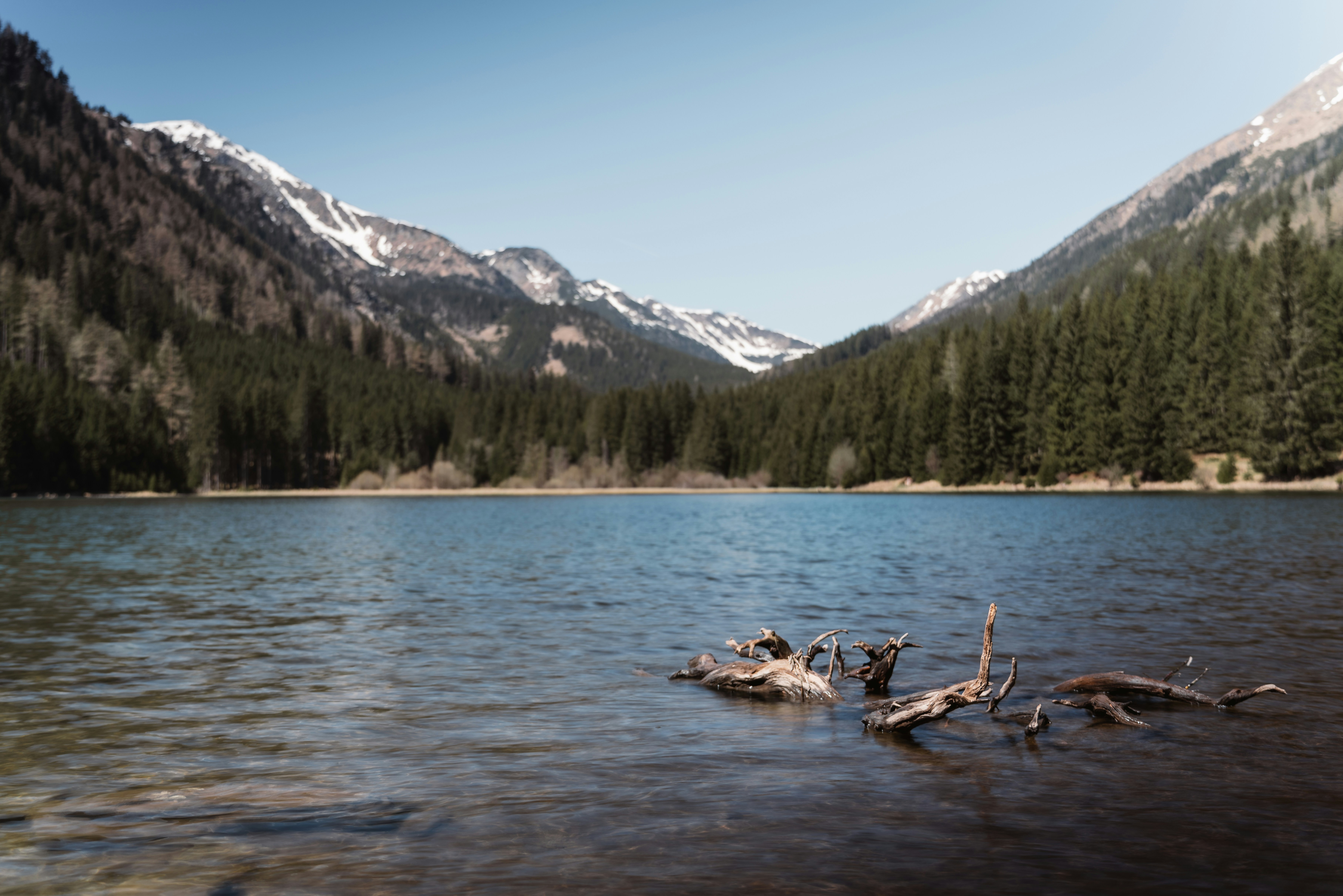 Still Waters, Mountain Echoes