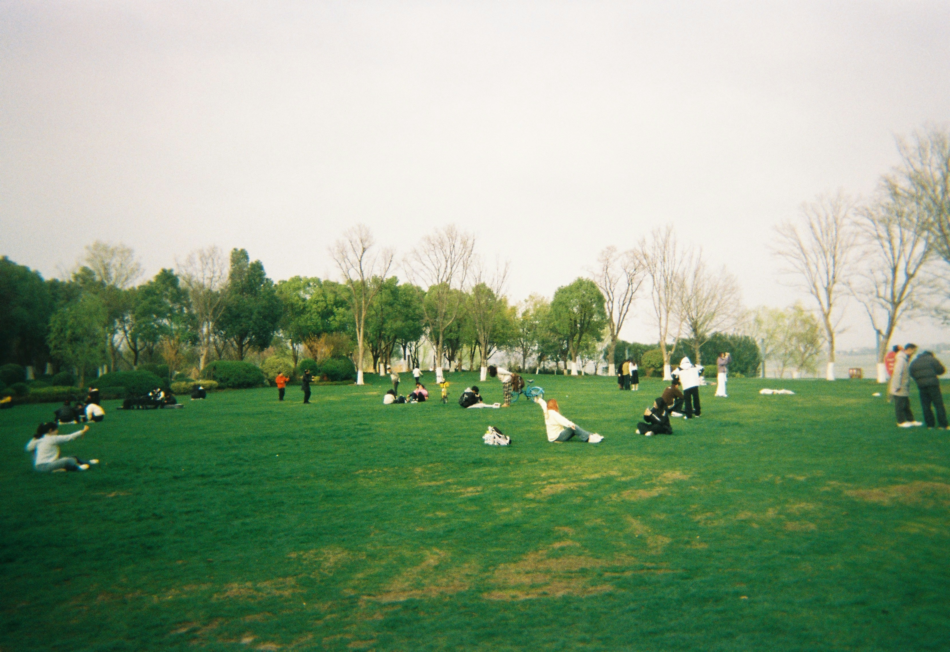 Weekend Reverie: People Relax in a Sunlit Park