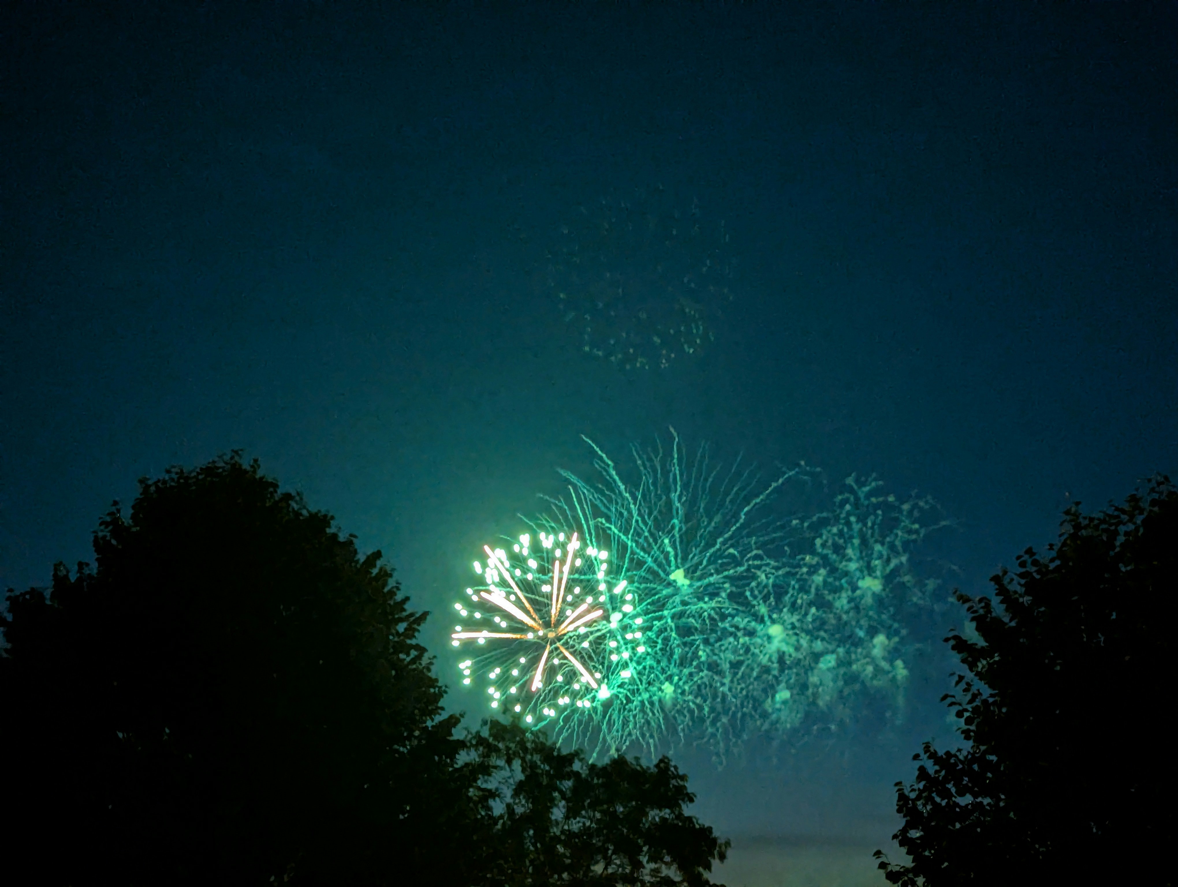 Fireworks Above Silent Trees: Night Sky Illuminates a Park