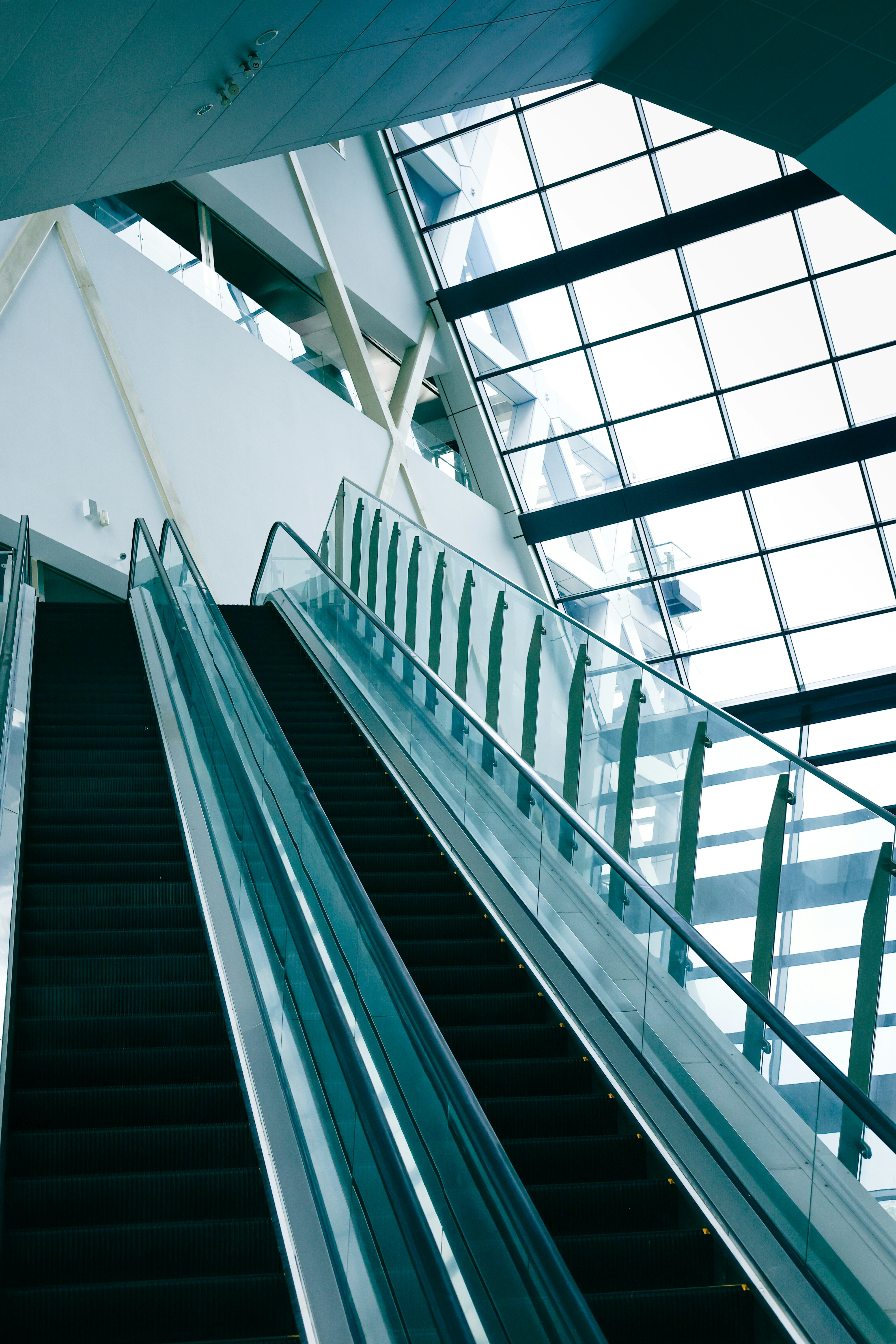 Geometric Ascent: Glass and Steel Escalators in a Modern Atrium