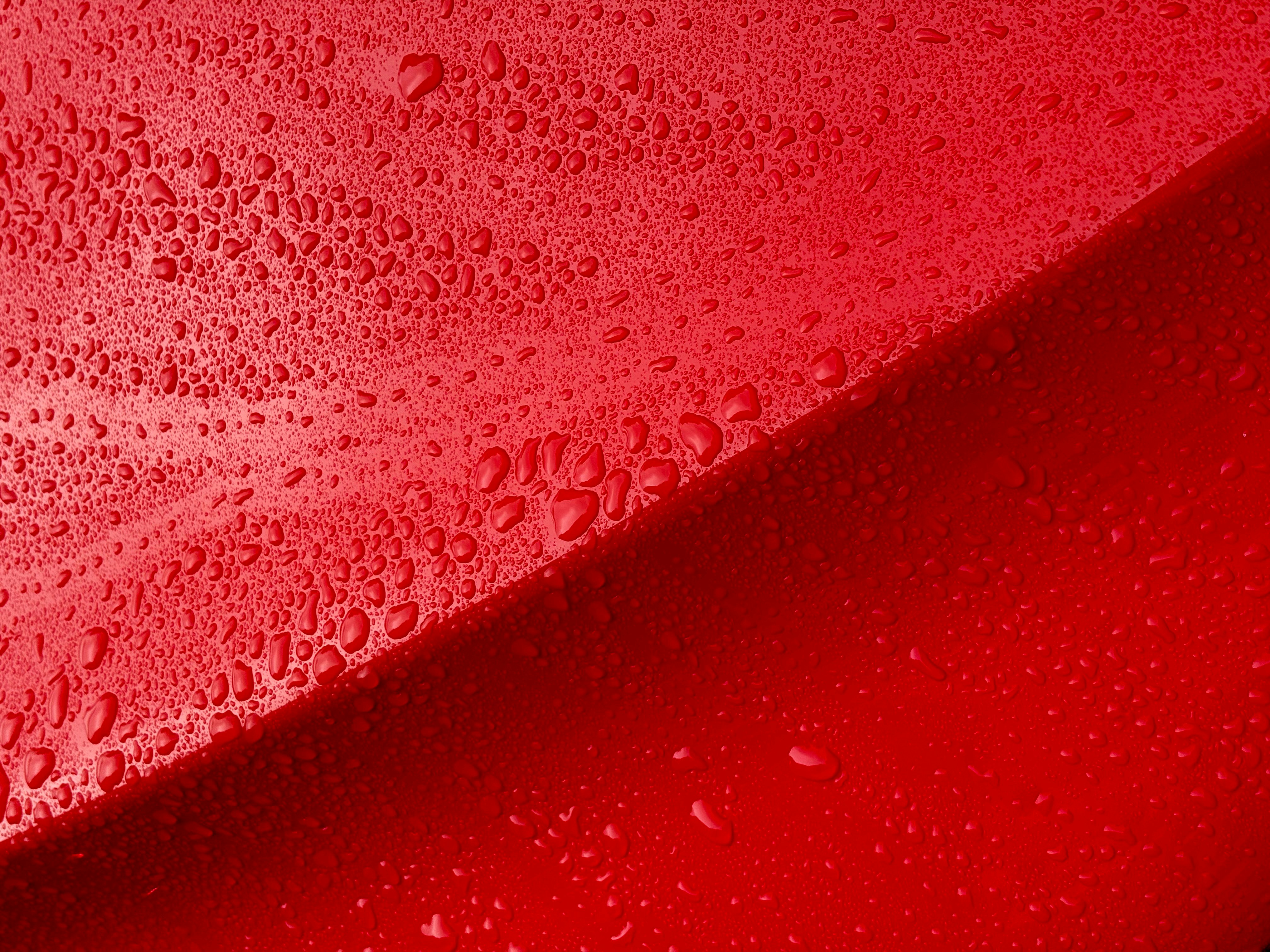 Crimson Curve: Dew on a Painted Surface