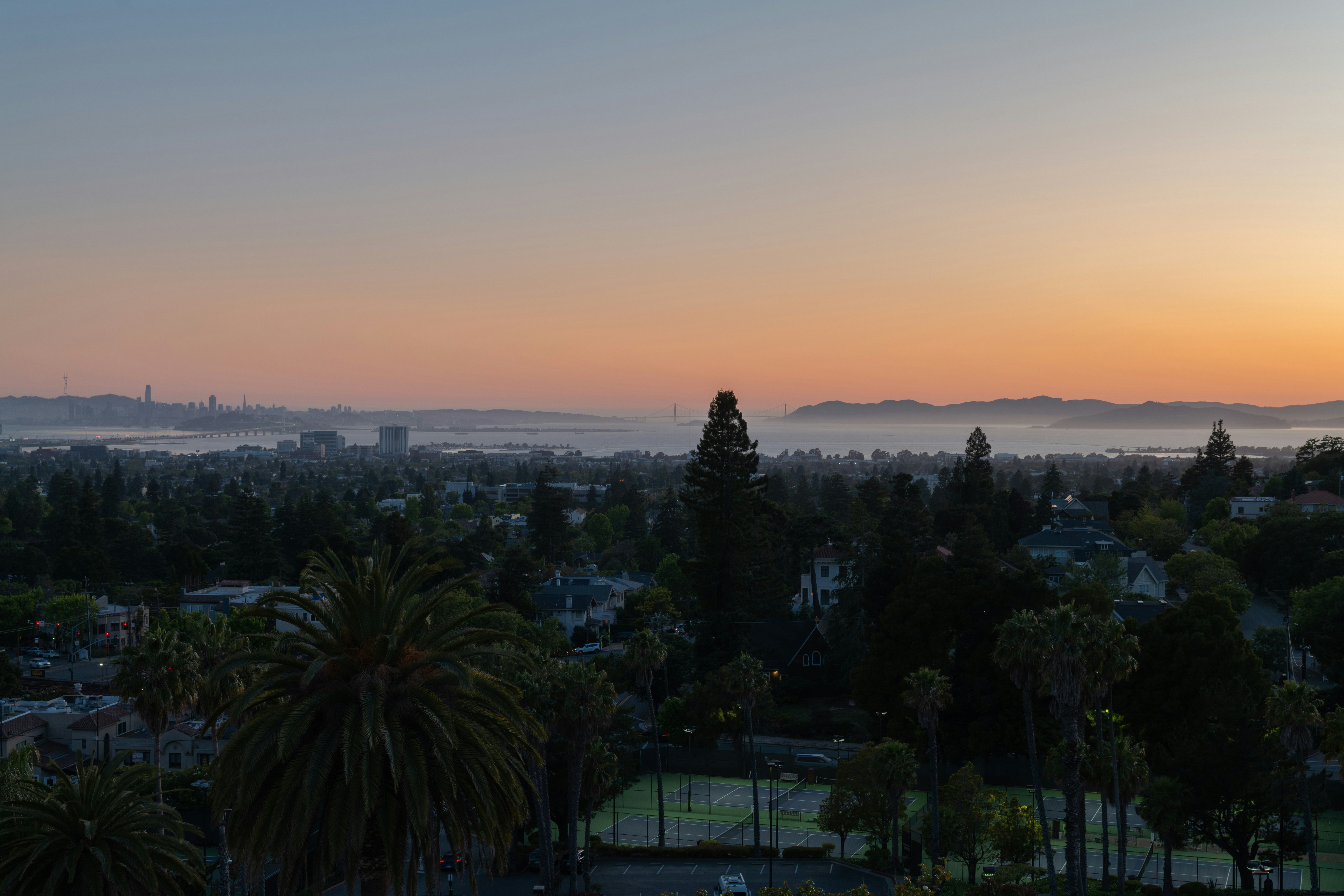 Dusk Over the Suburban Horizon with Quiet Palm Front
