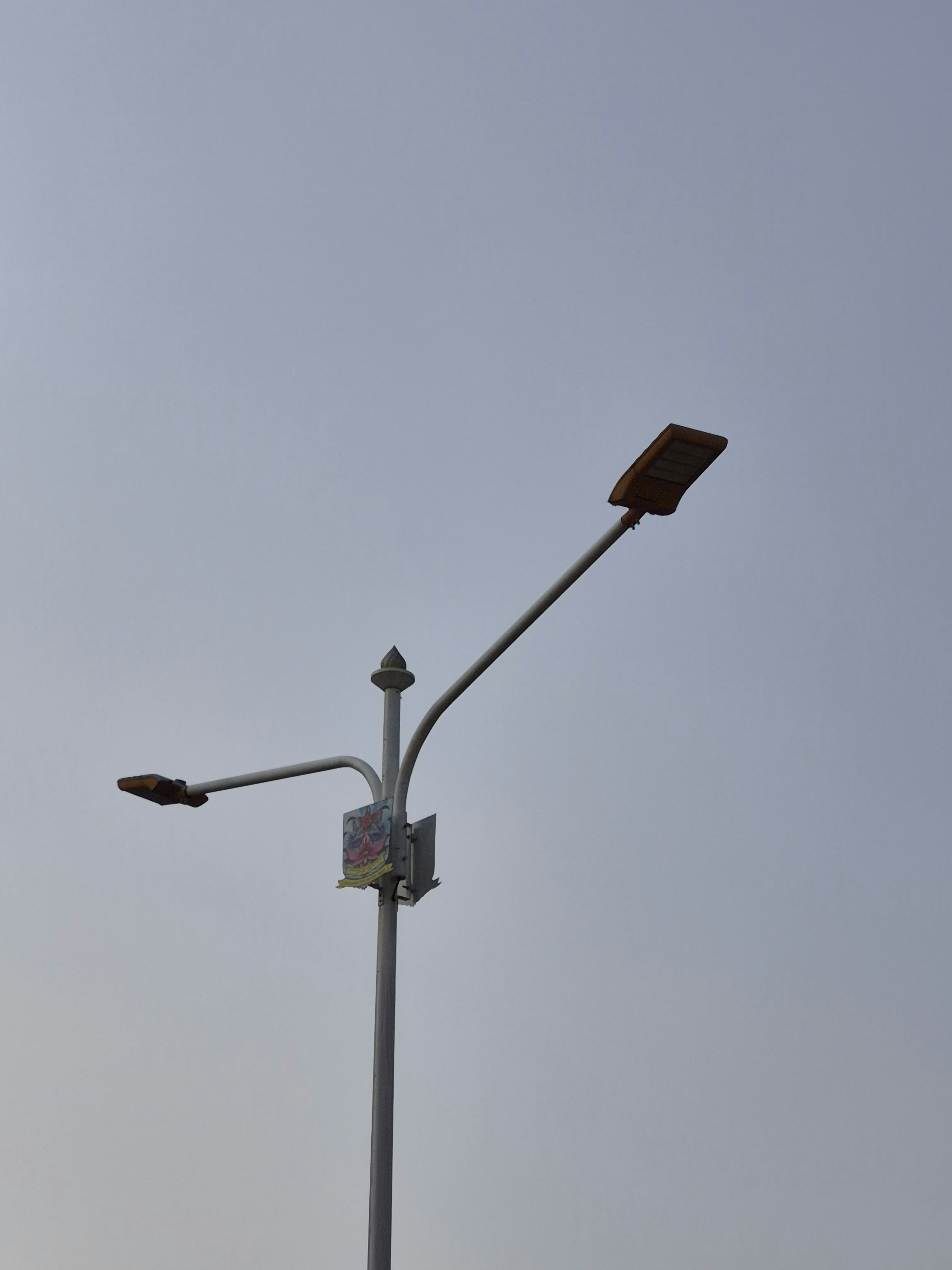 A Lone Streetlight Reaches Toward a Clear Sky