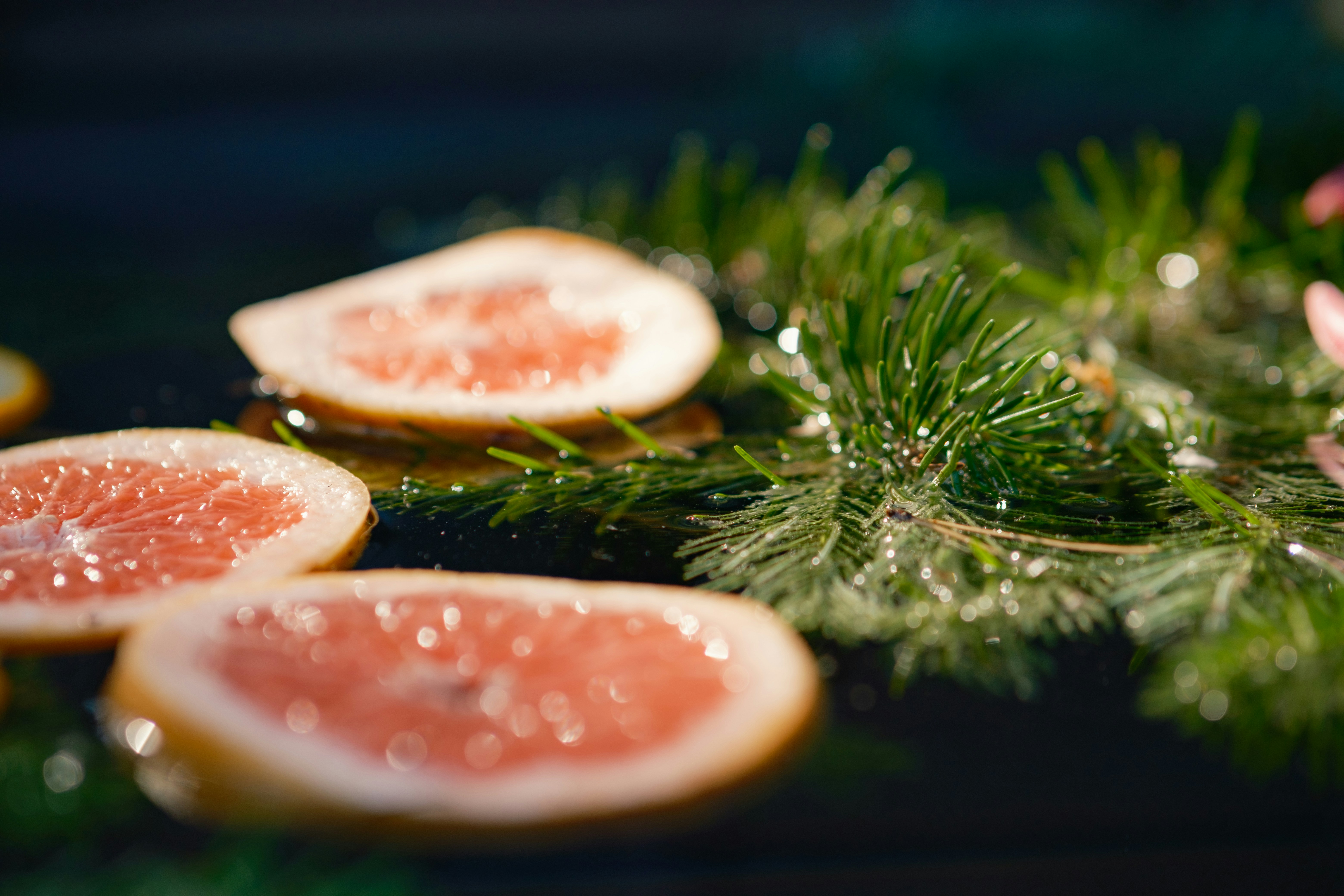 Citrus Glow: Grapefruit Slices and Pine Branch Under Soft Light