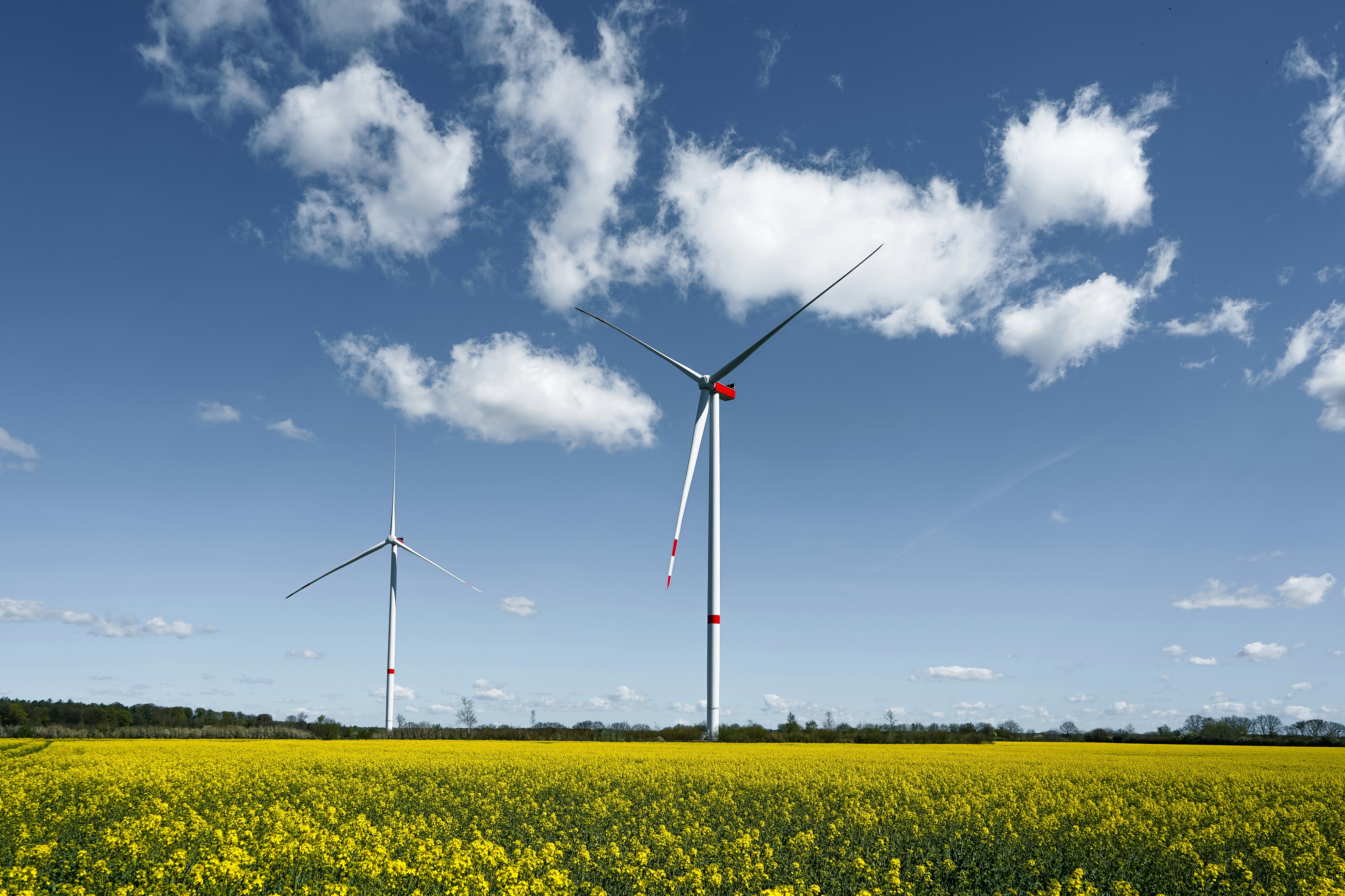 Verdant Field and Windward Giants