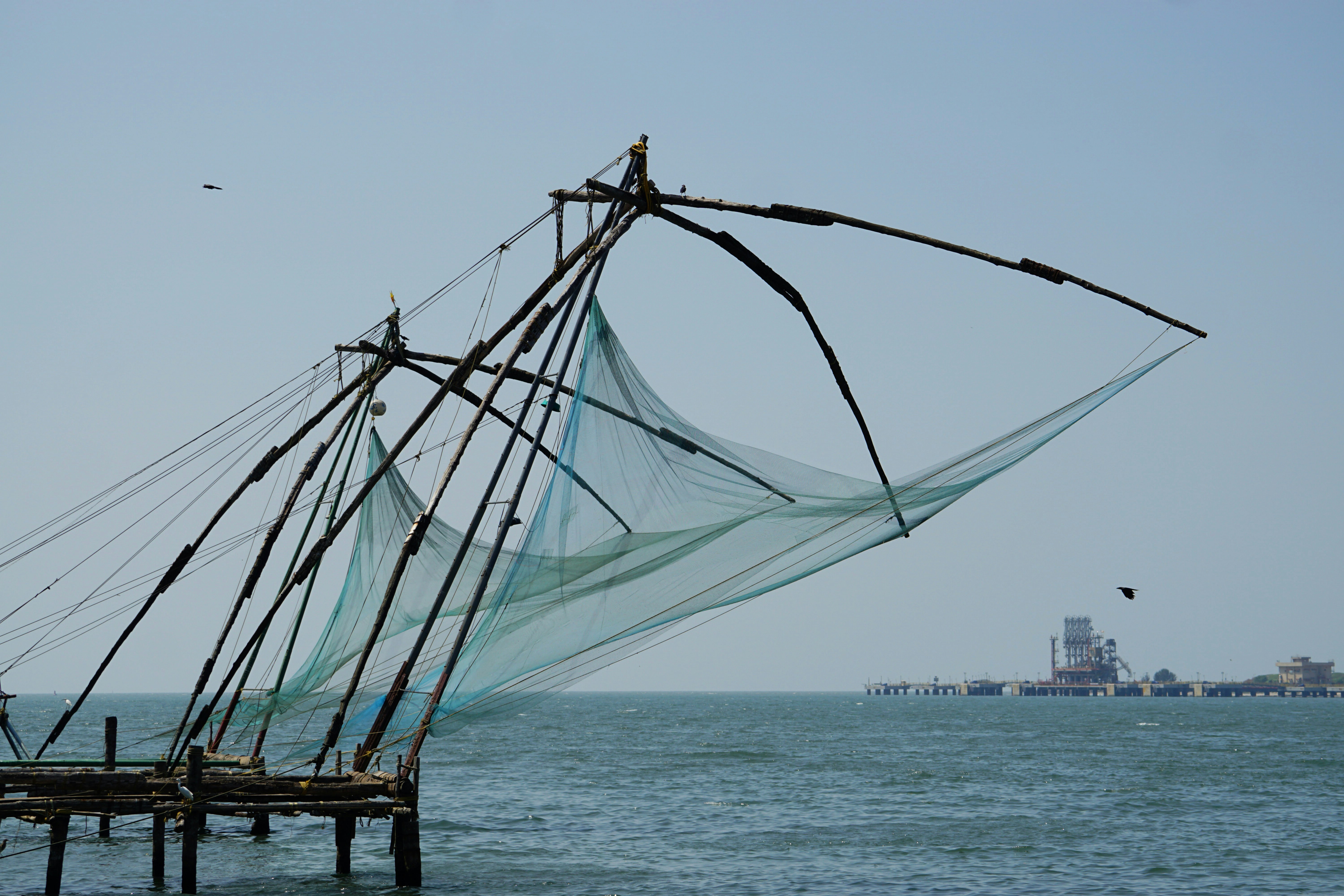 Opening the Net: A Lagoon Dragnet Reaches for the Sea