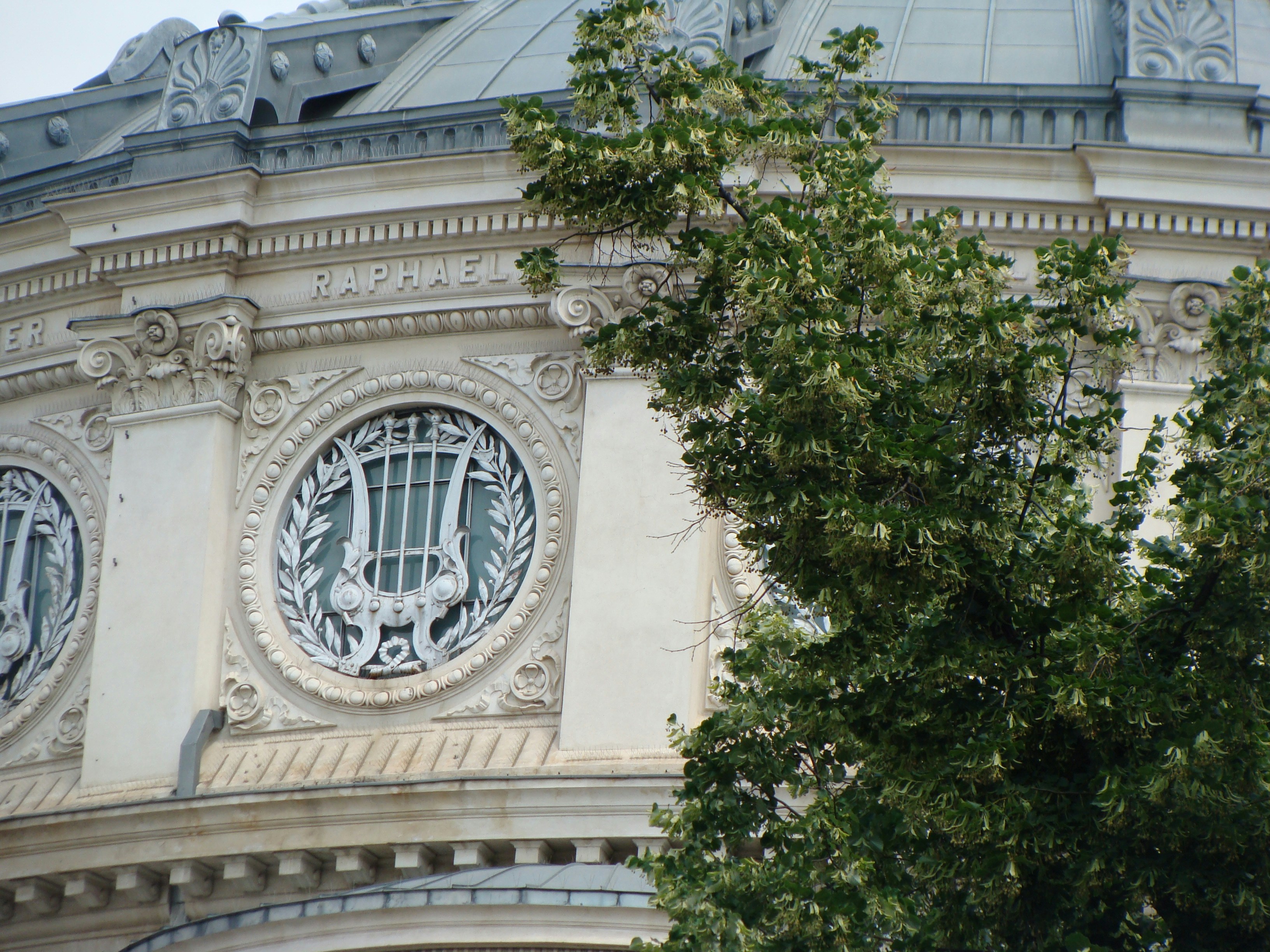 Ornate Facade with Ivy Veil Over Romanesque Window