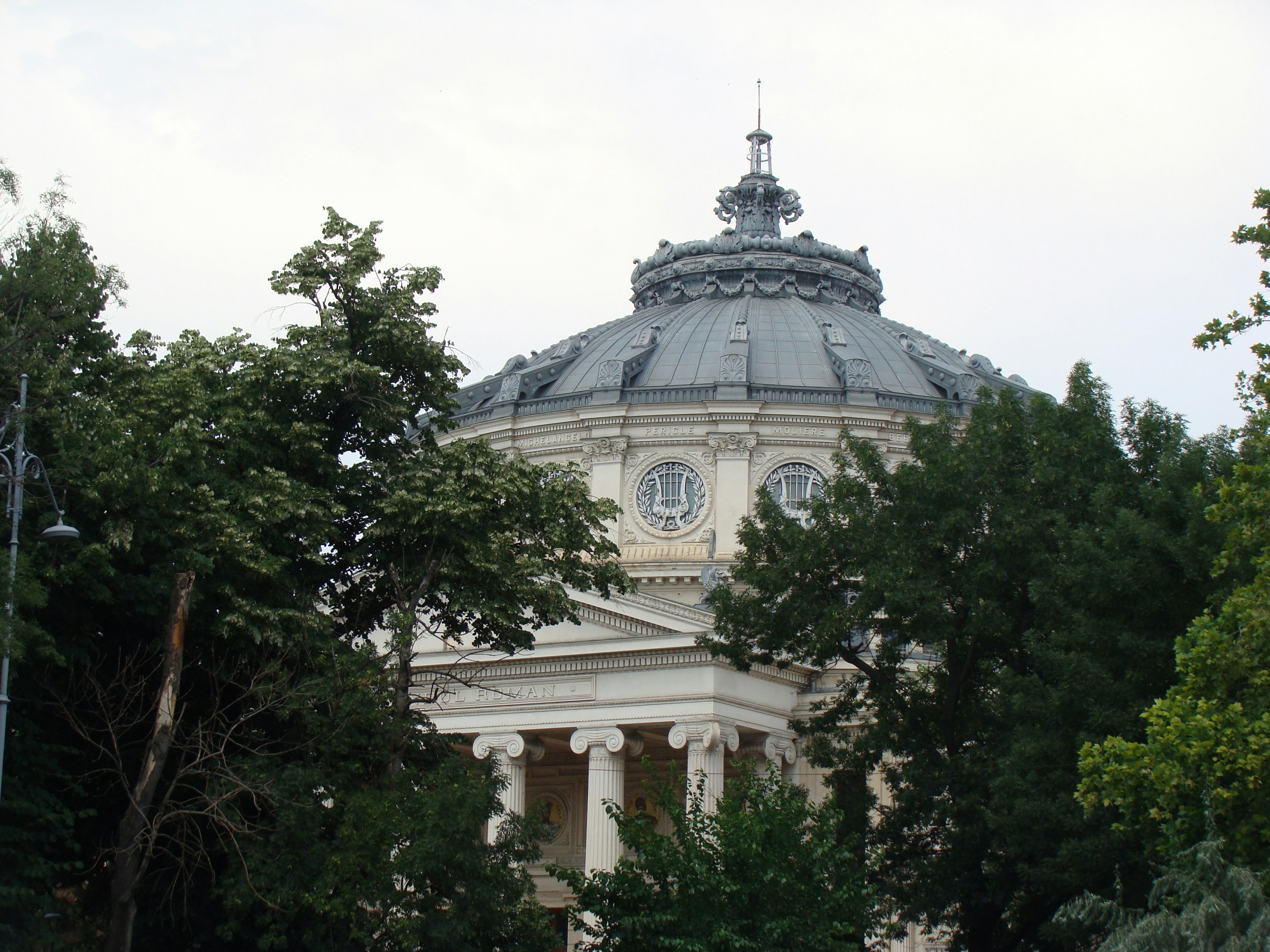 Central Dome in Green Cathedral Canopy
