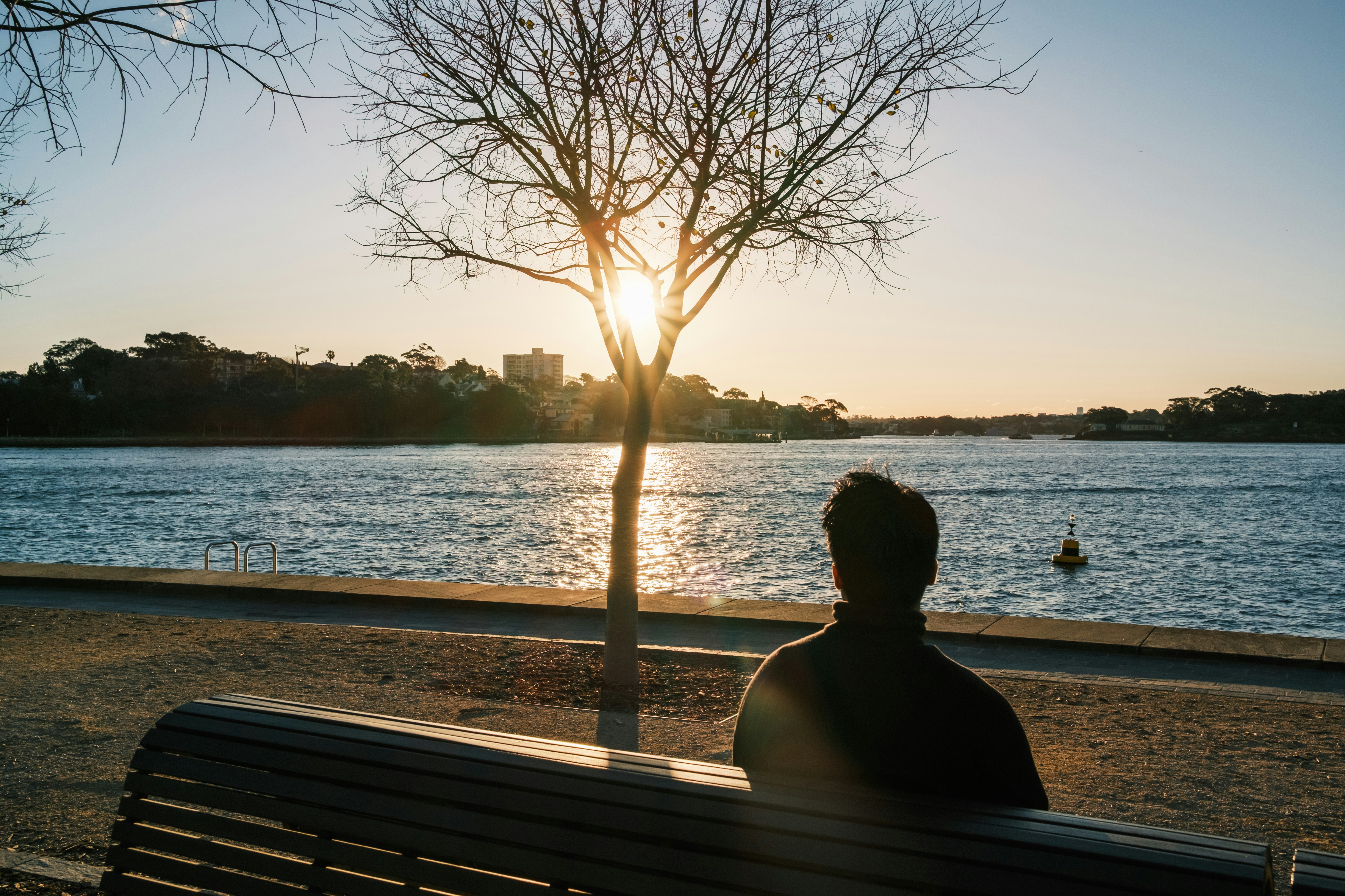 Sunlit Silhouette by the Lakeside Bench