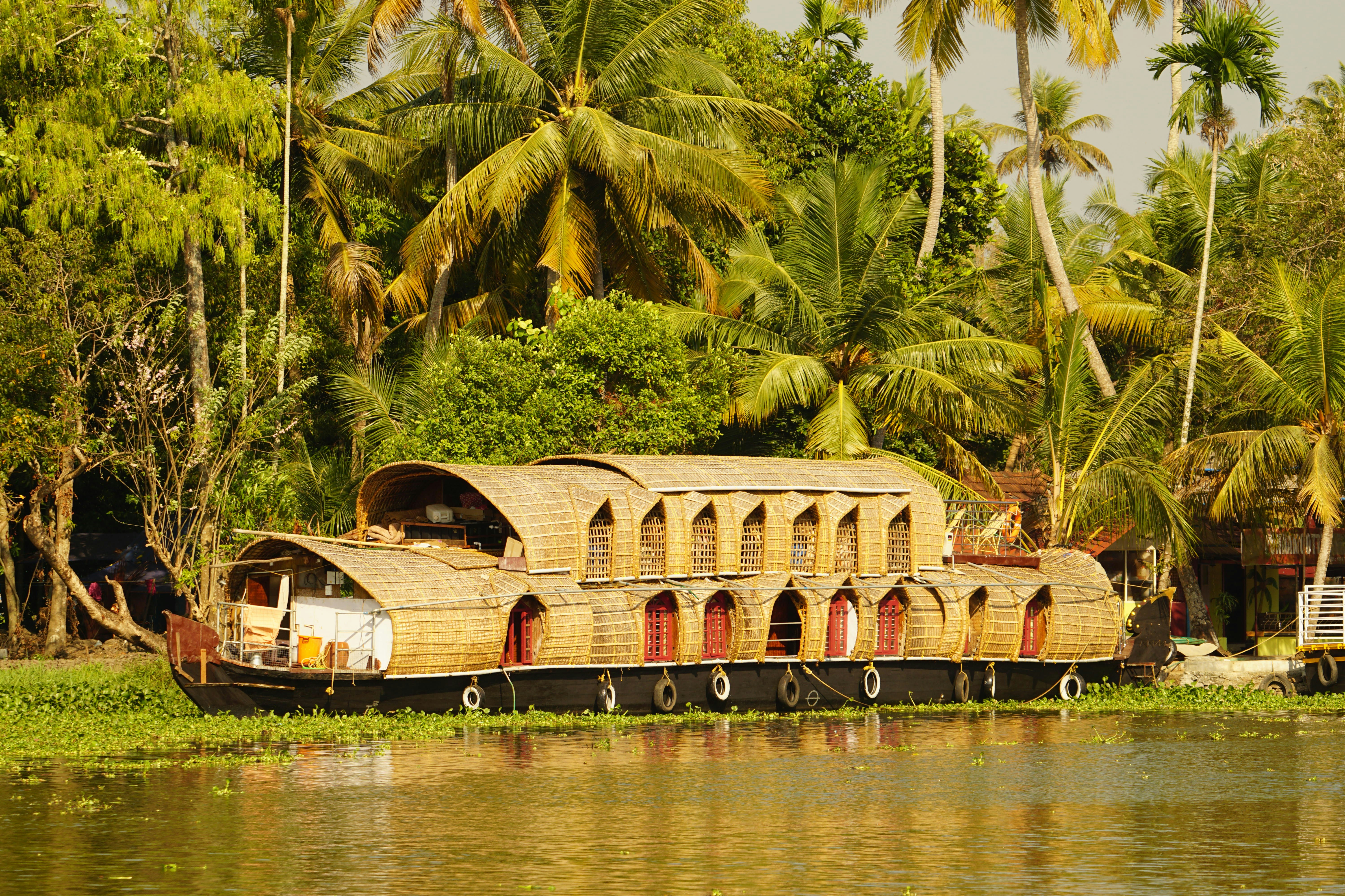 Palm-arched Houseboat on a Serene Riverbend