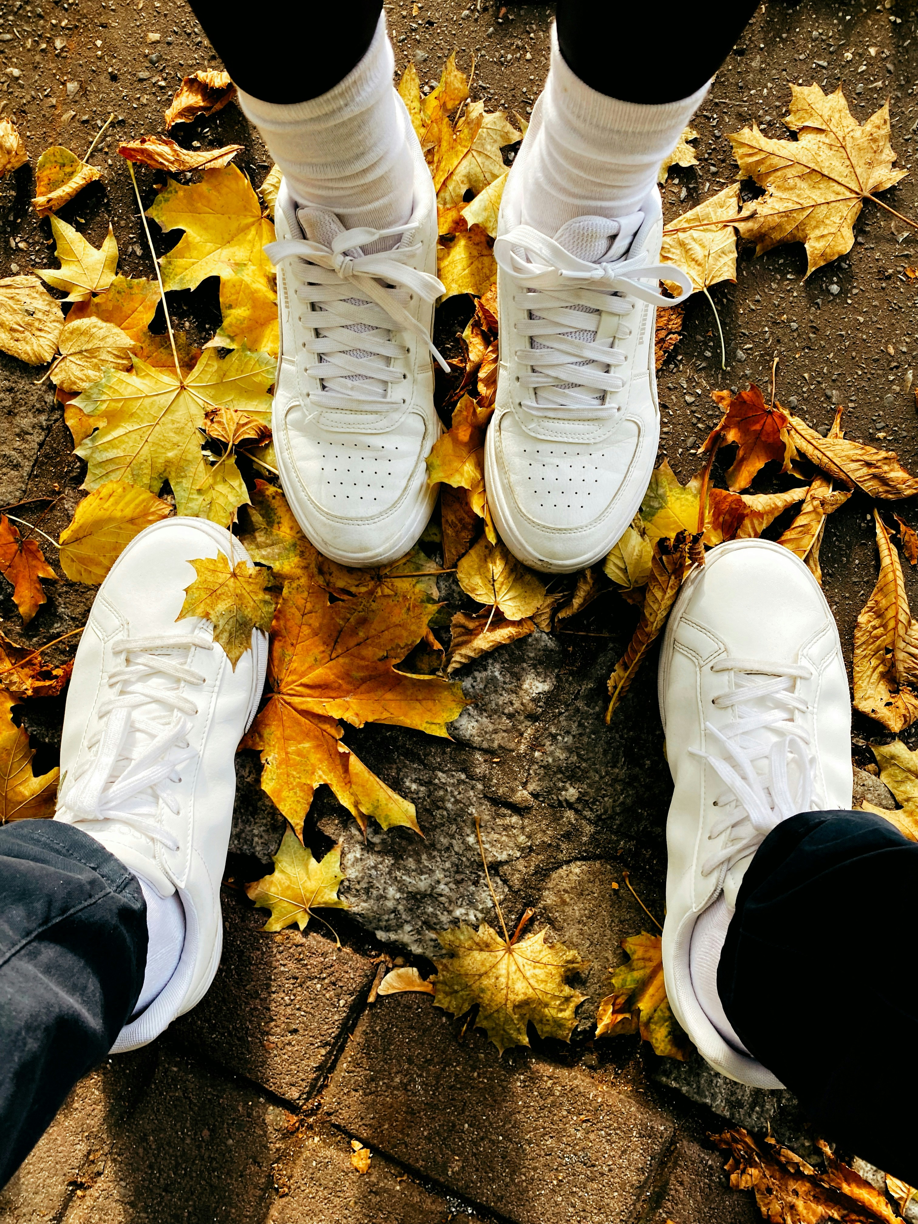 Bright white sneakers sit in a circle among yellow and orange fallen leaves on a wet pavement.