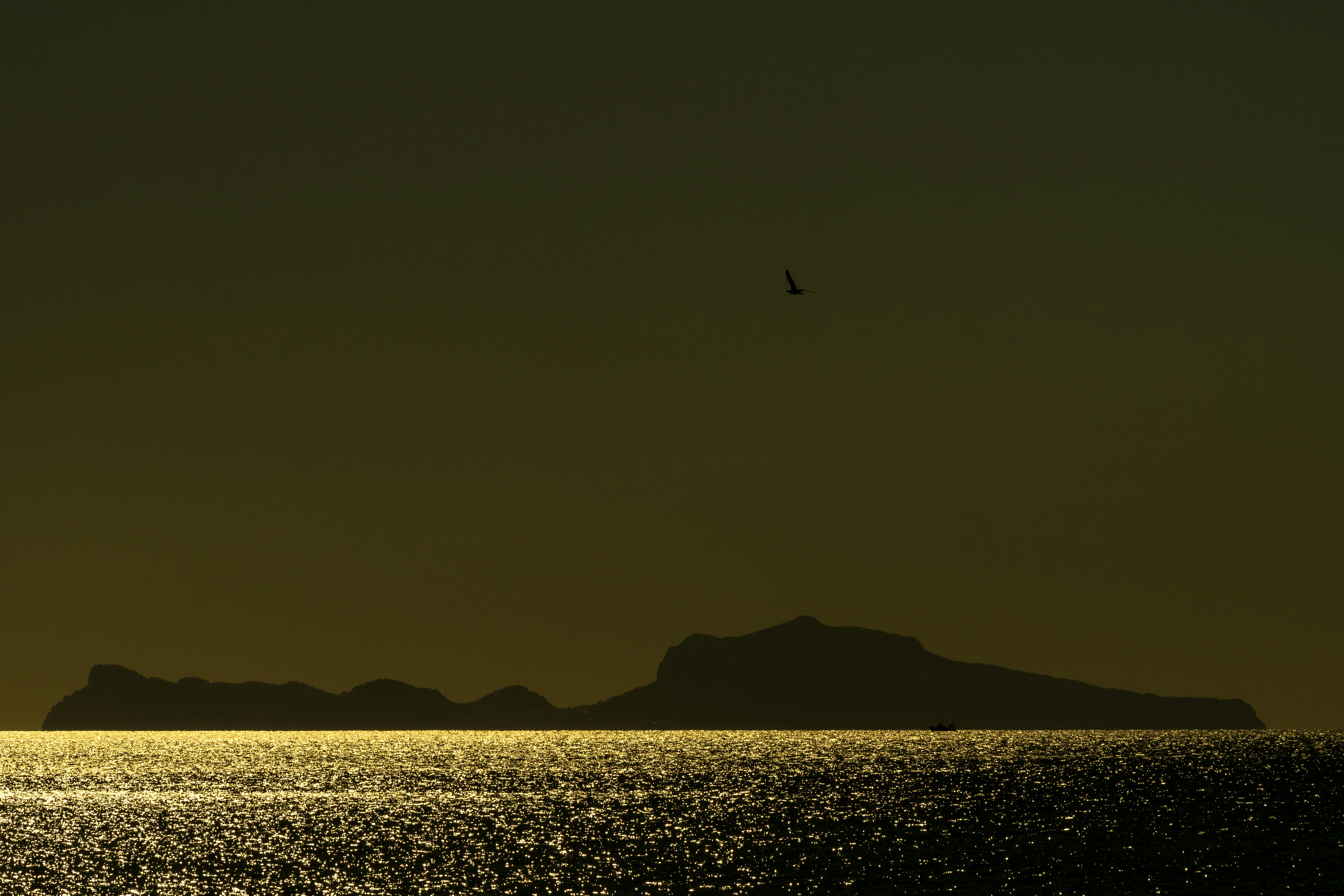 Silhouette Over Glittering Sea at Dusk