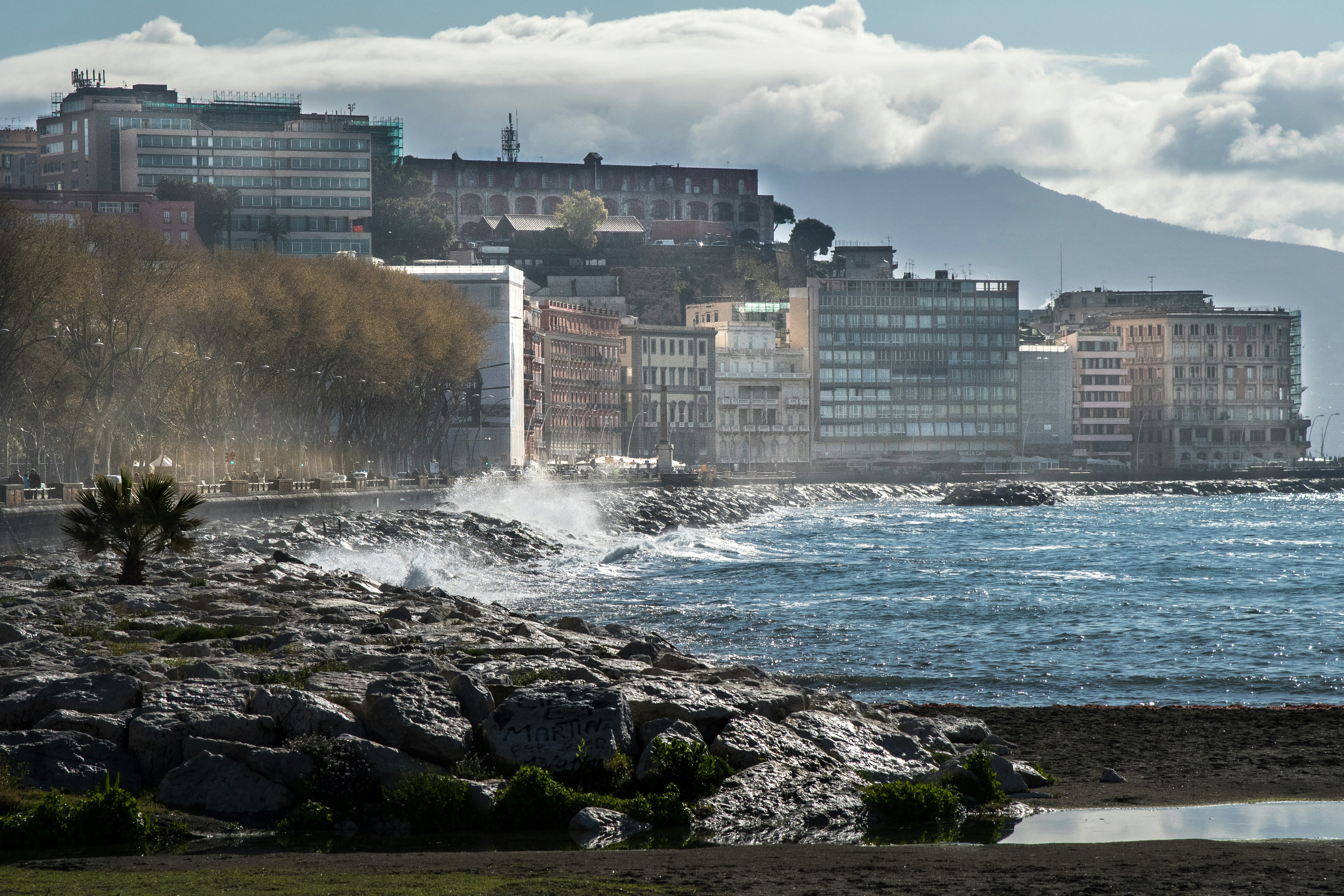 Seafront Cityscape Beneath a Cresting Wave