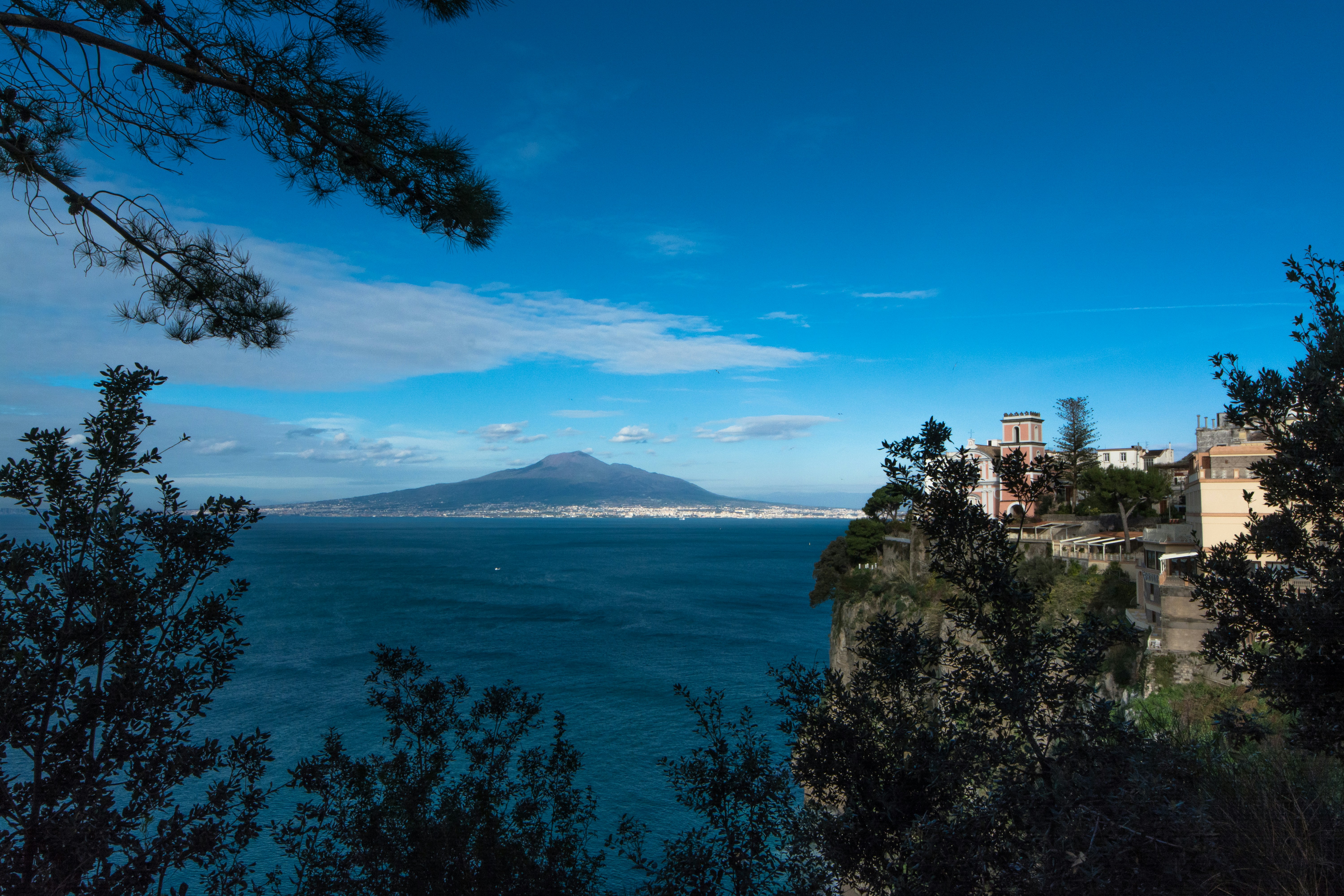 Clifftop Vista: A Mediterranean Seascape Framed by Pines