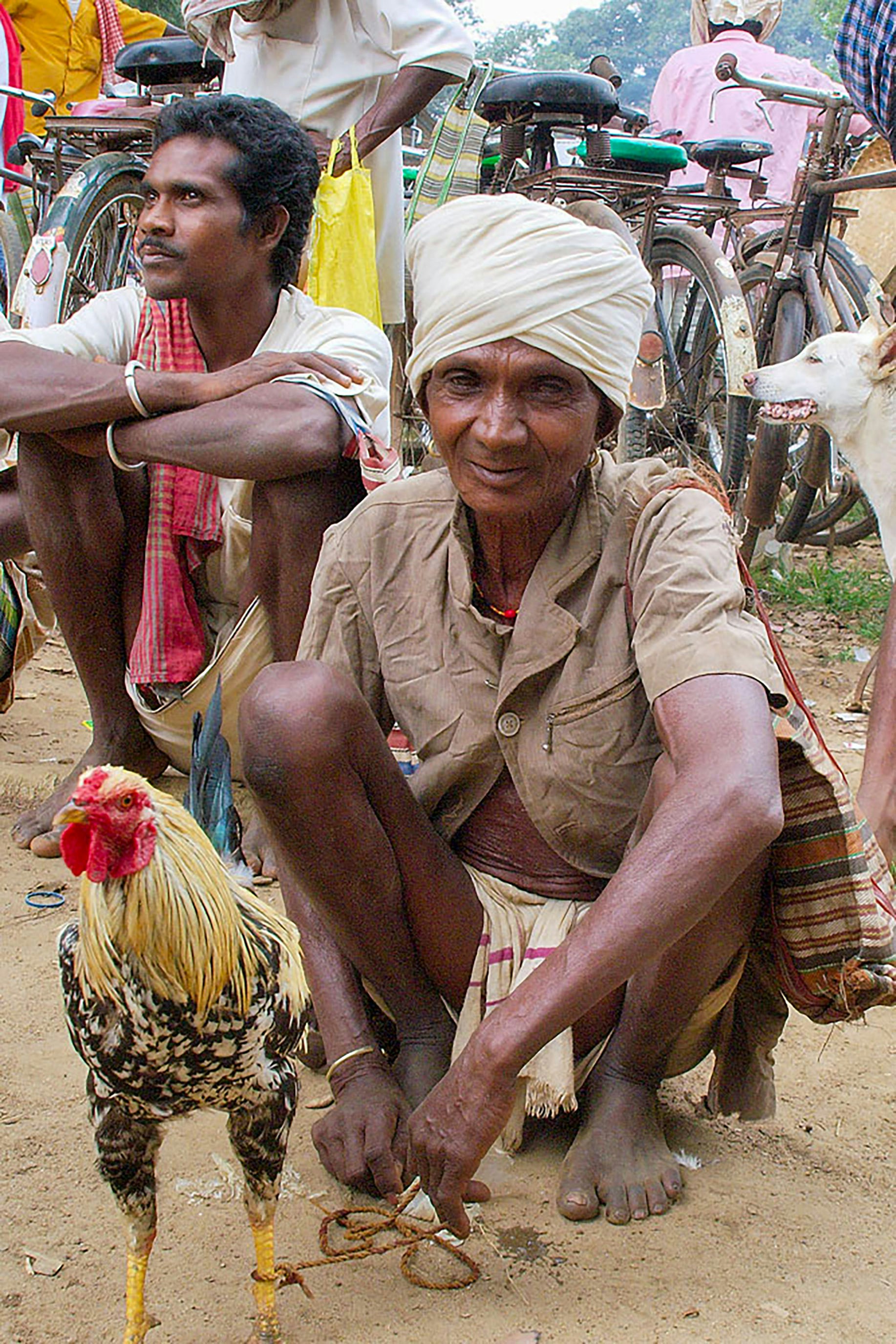 Sitting in the Dust: A Village Scene with a Rooster and Companion