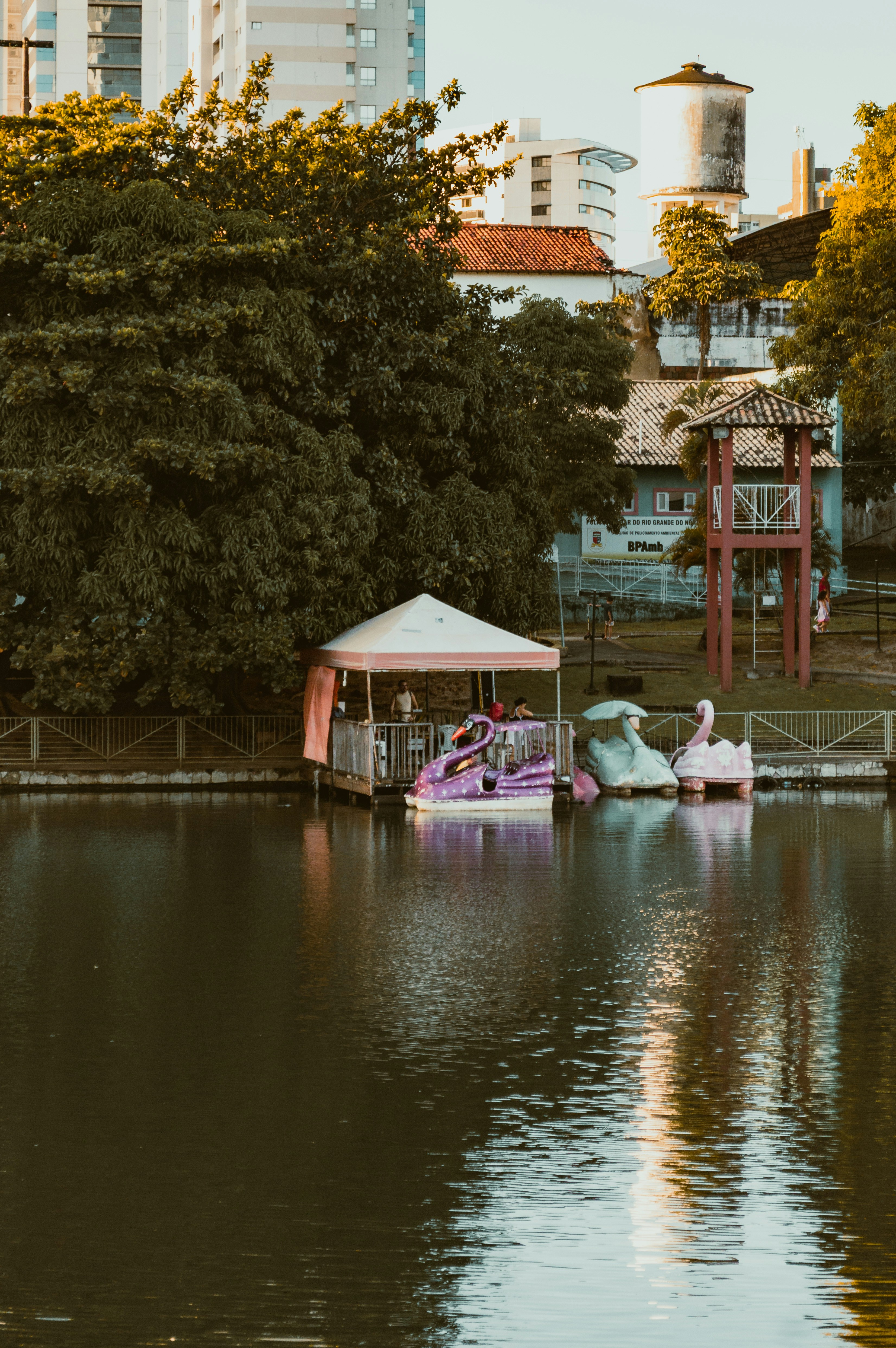 Sunlit Playground by the River: A Quiet Afternoon with Pedal Boats