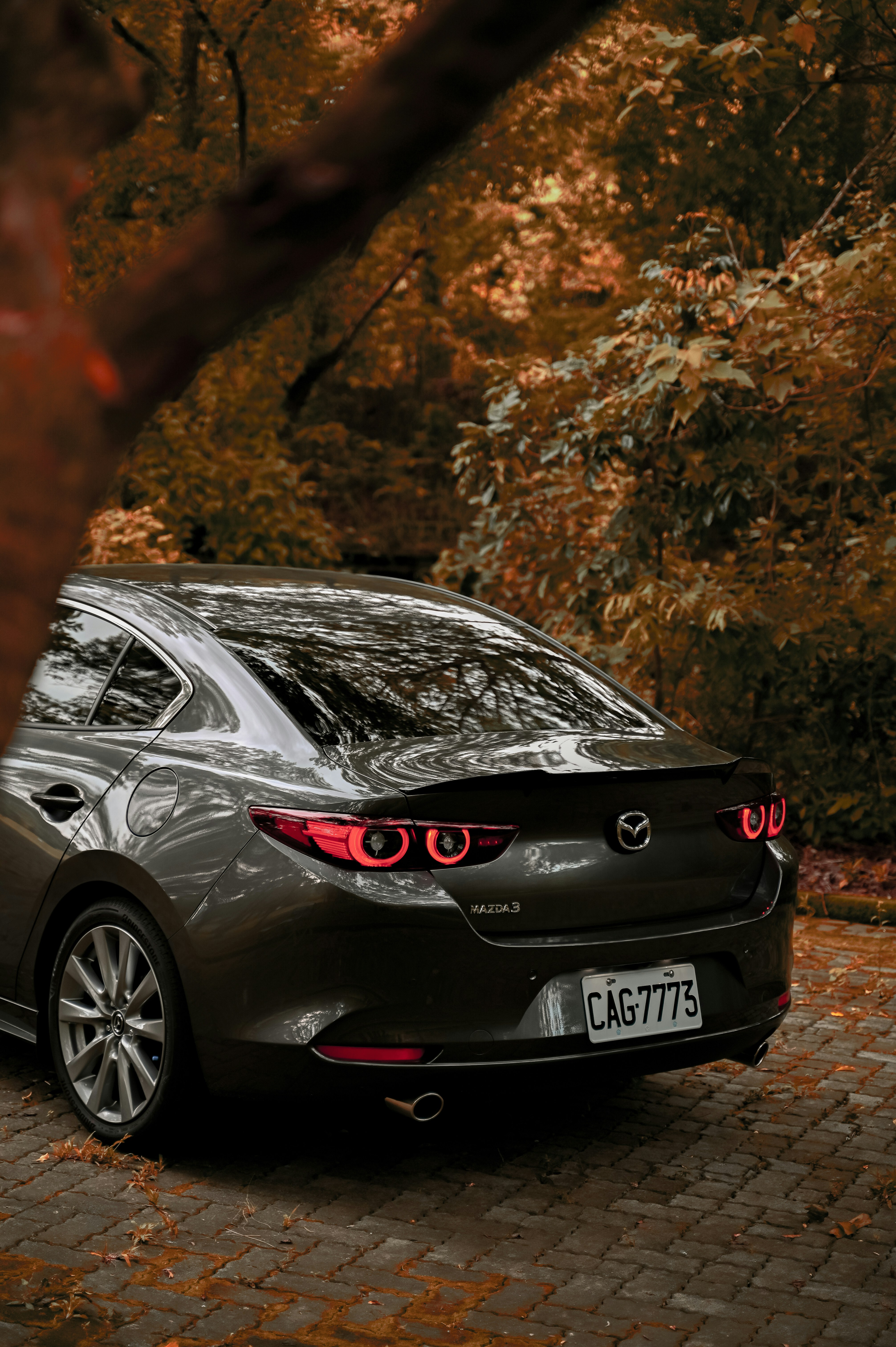 Moonlit Mazda: Autumn Armor in the Park