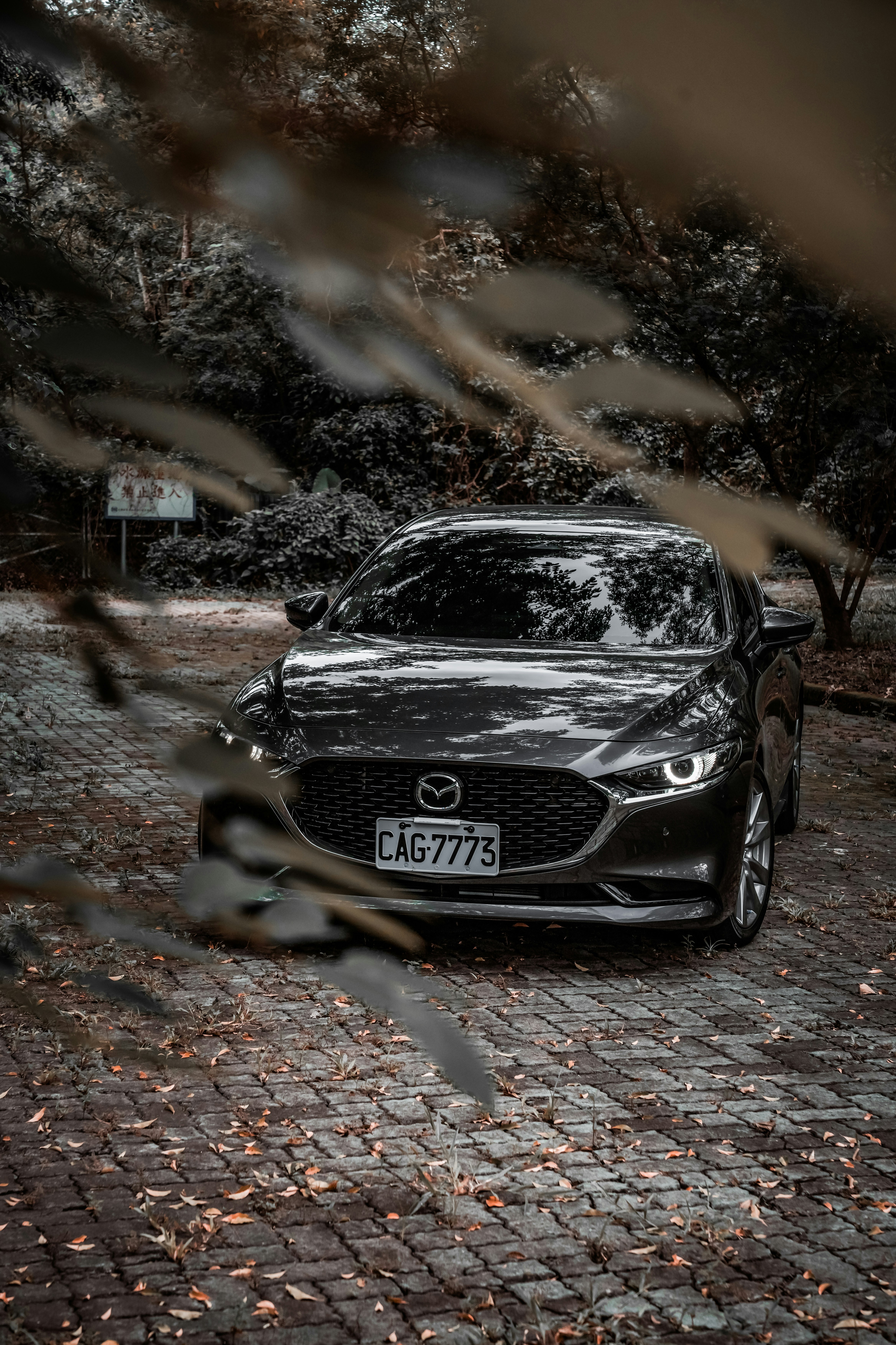 Midnight Drive: A Mazda Emerging from the Ferns