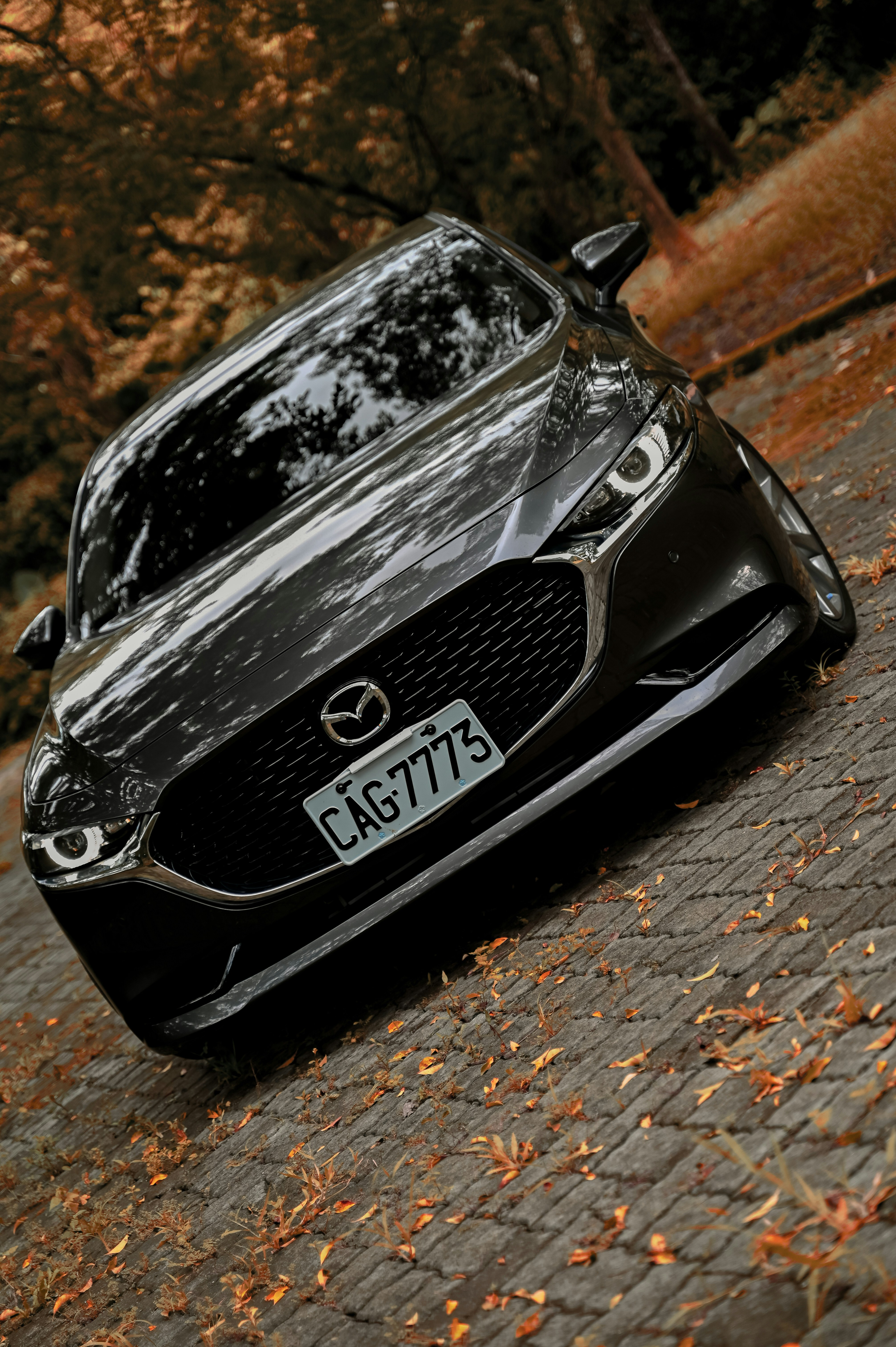 Low-Angle Crimson Elegance: Mazda in Autumn Light