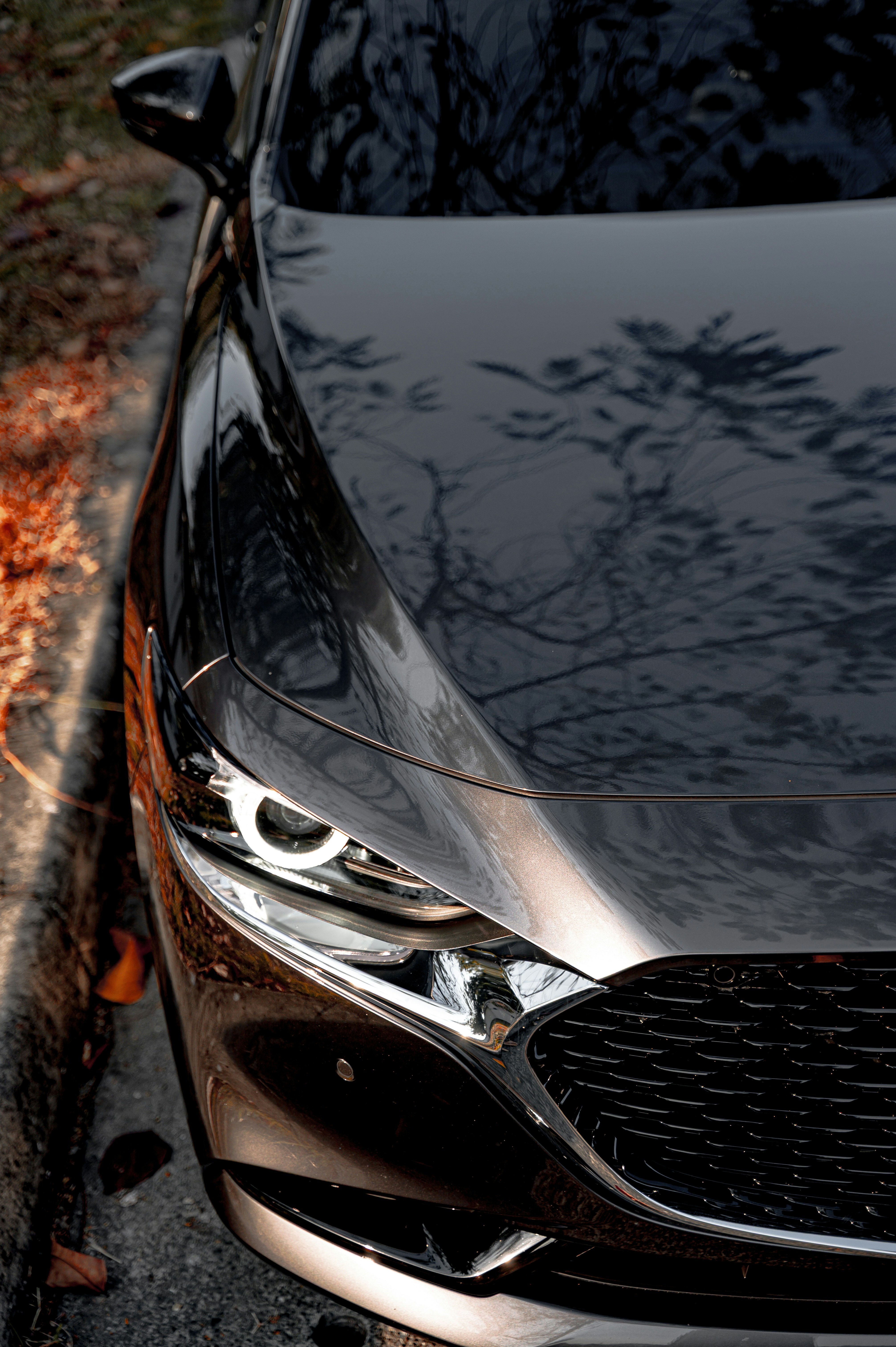 Midnight Alloy: The Front Quarter of a Sleek Car