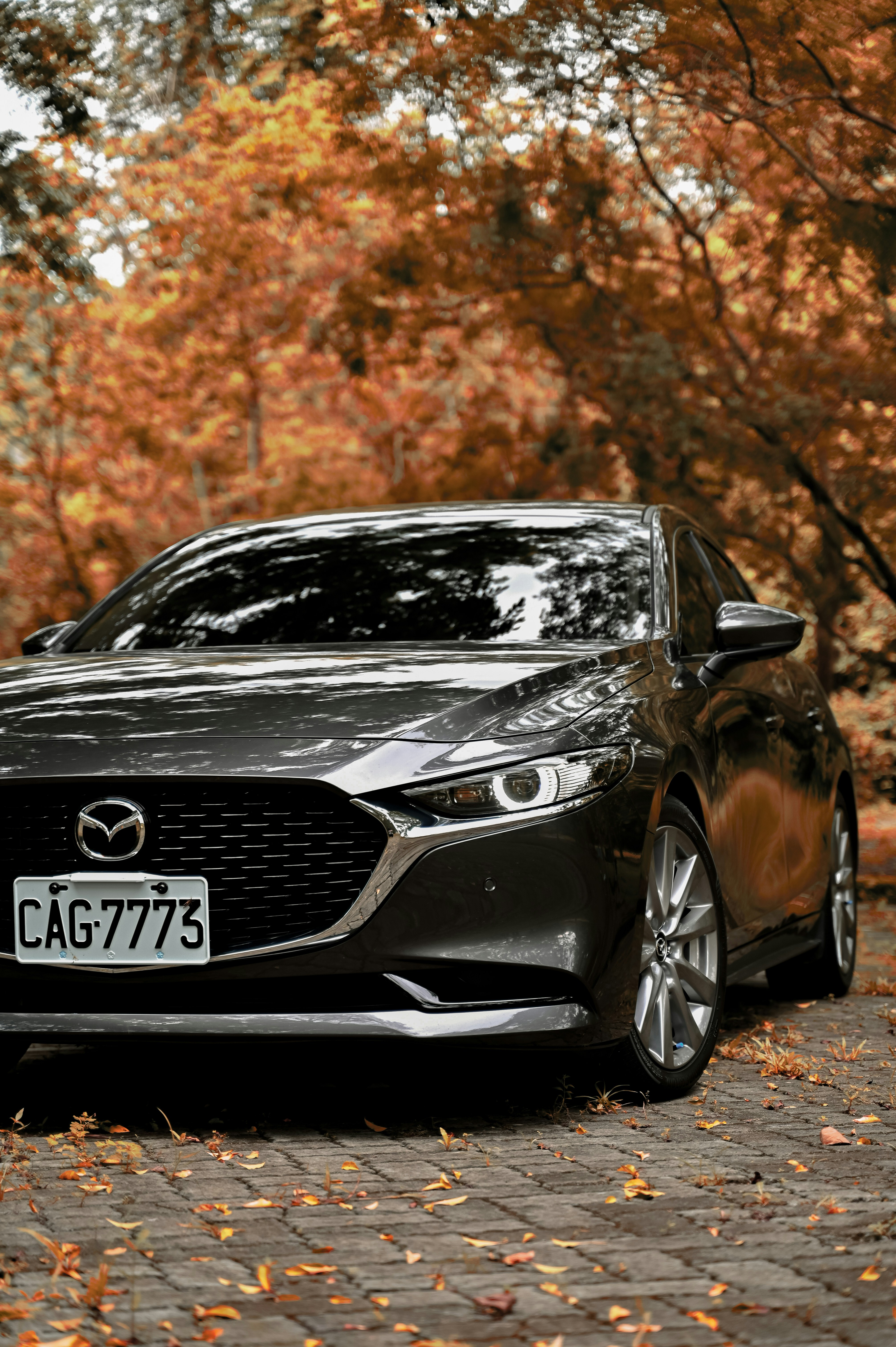 Midnight Thunder: A Mazda Stares Down Autumn