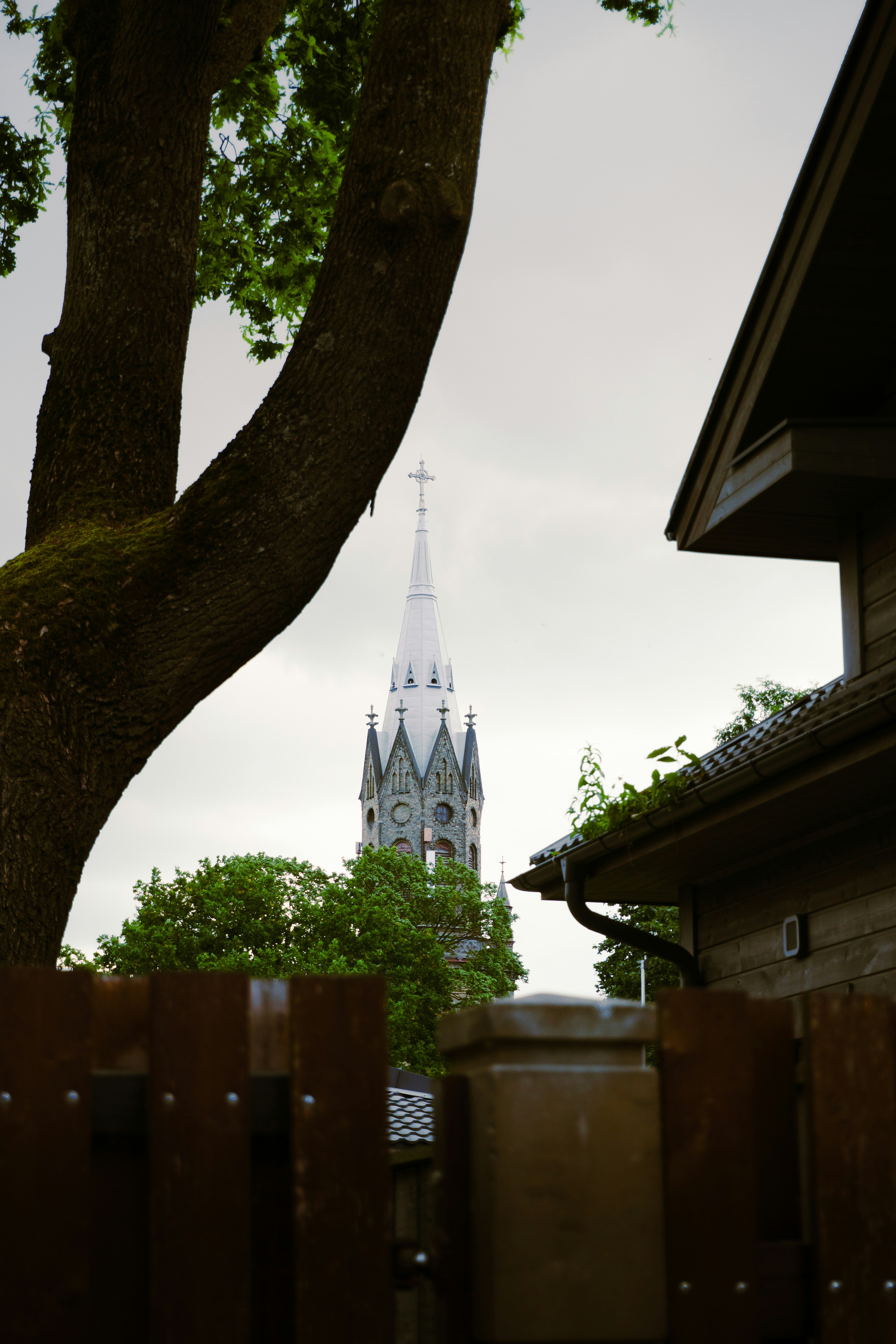 Steeple Peeking Over the Garden Fence