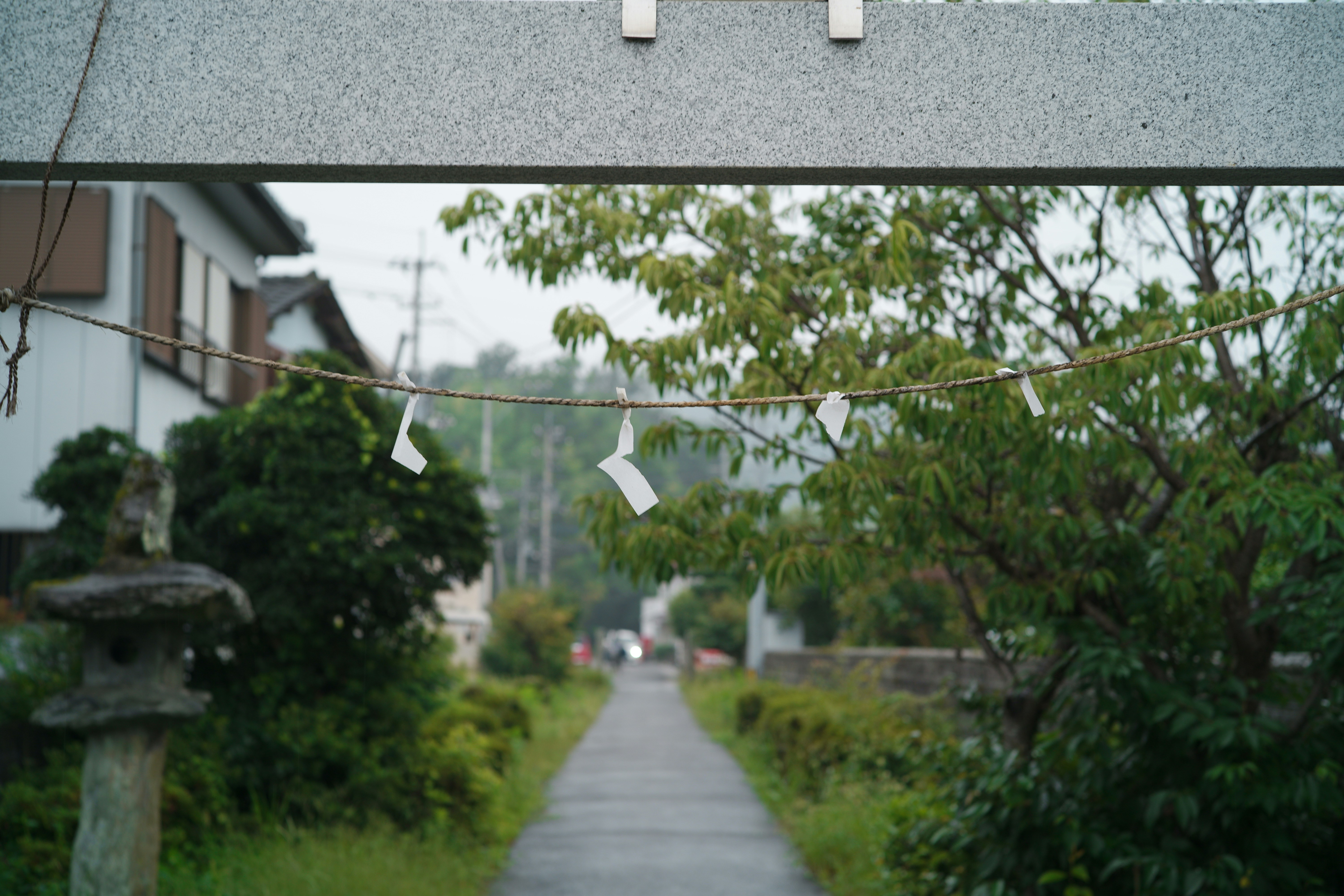 Shimenawa Ribbon of Pathway: A Quiet Shrine Corridor