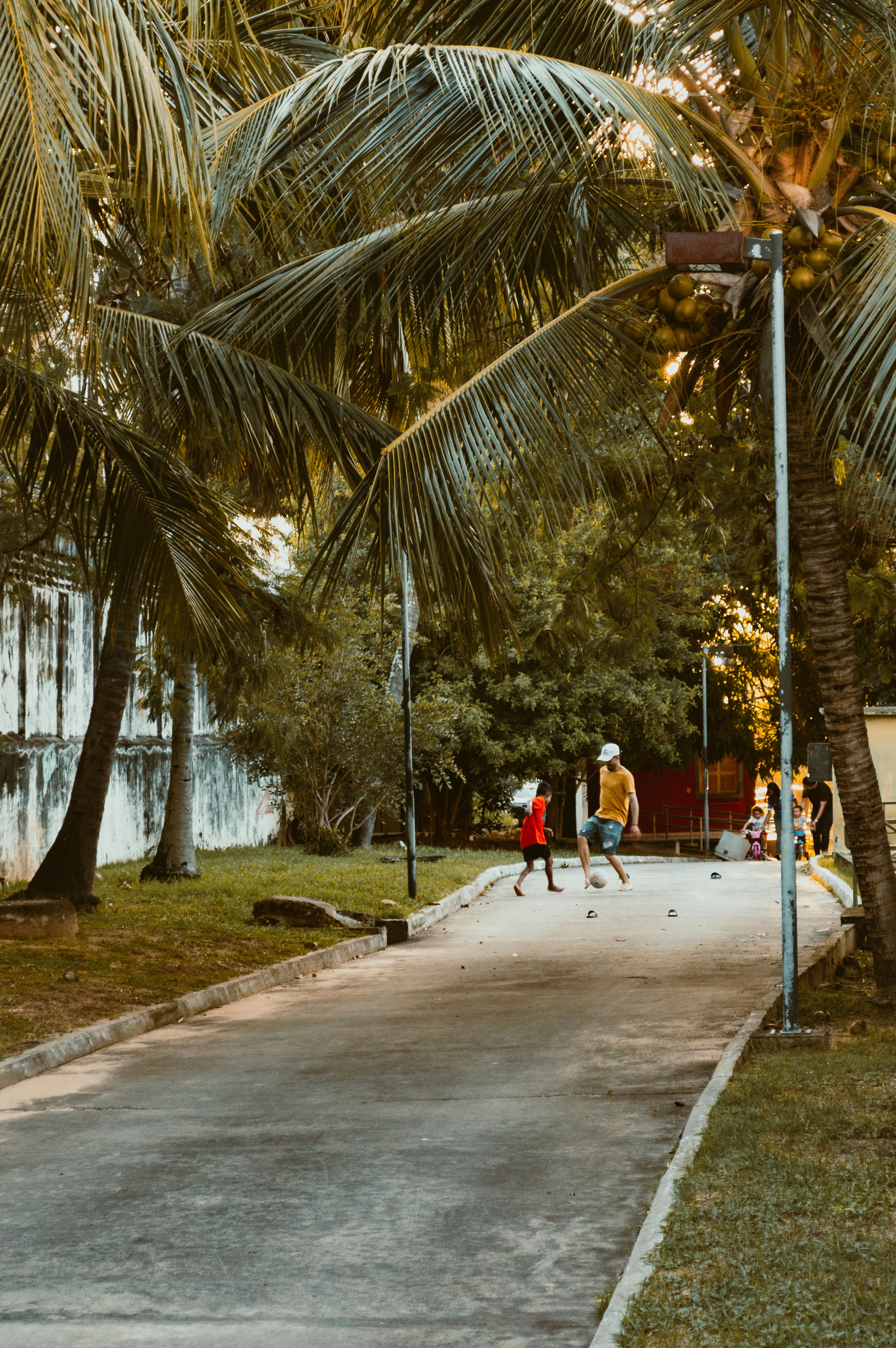 Sunlit Park Stroll: Palm Shade and Warm Evening Glow