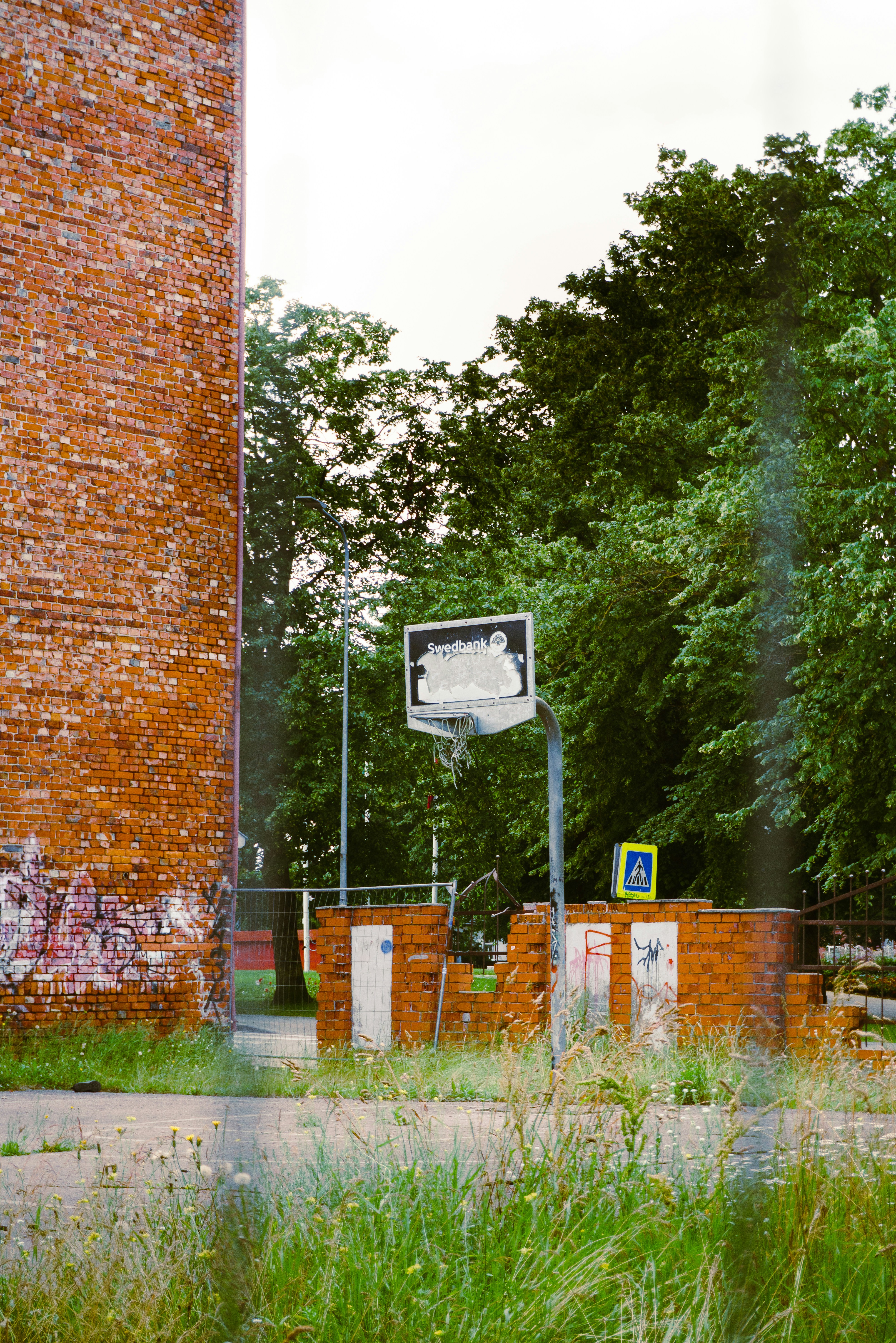 Urban Basketball Hoop in a Graffiti Meadow