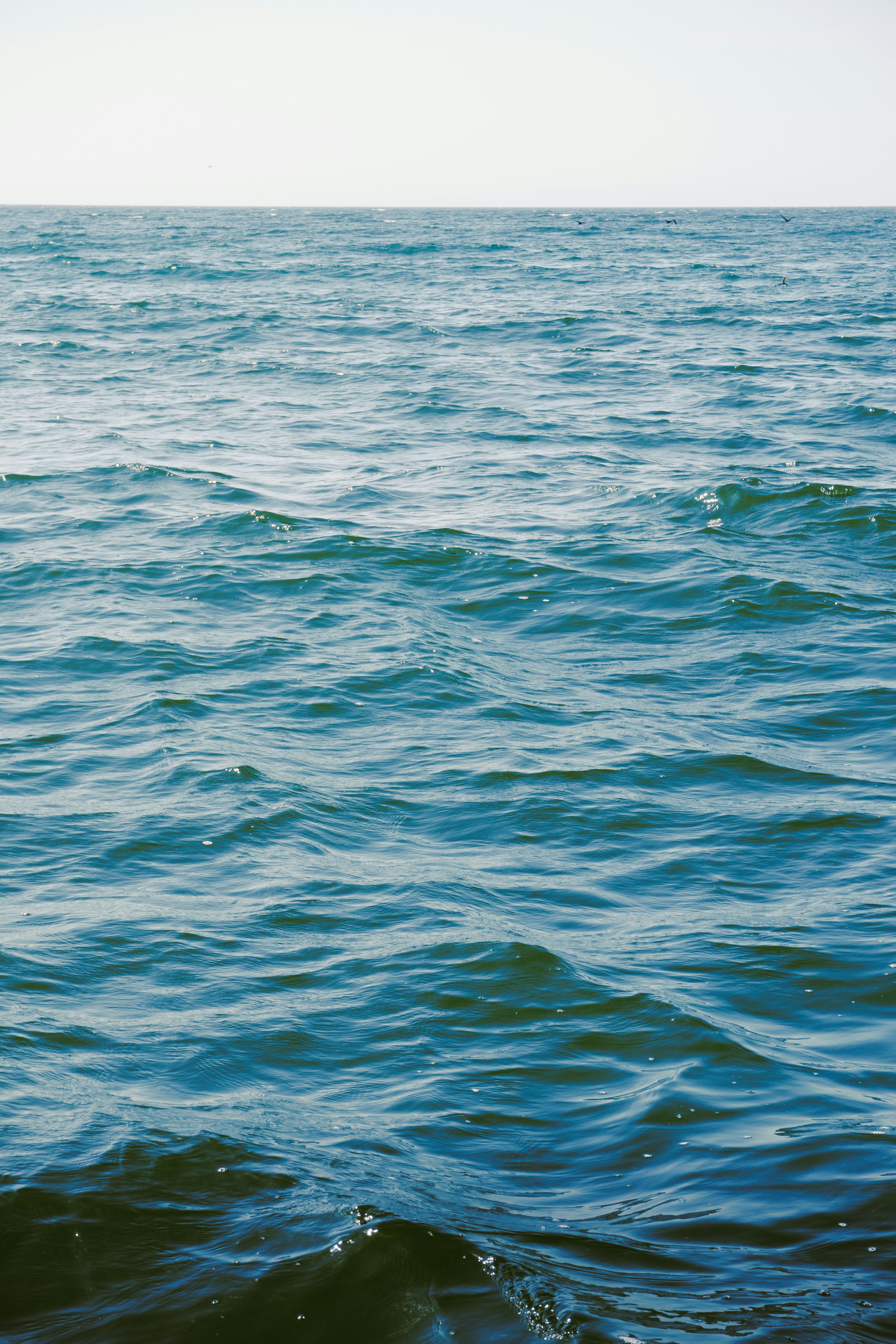 Endless Blue: Ocean Waves Under a Clear Sky