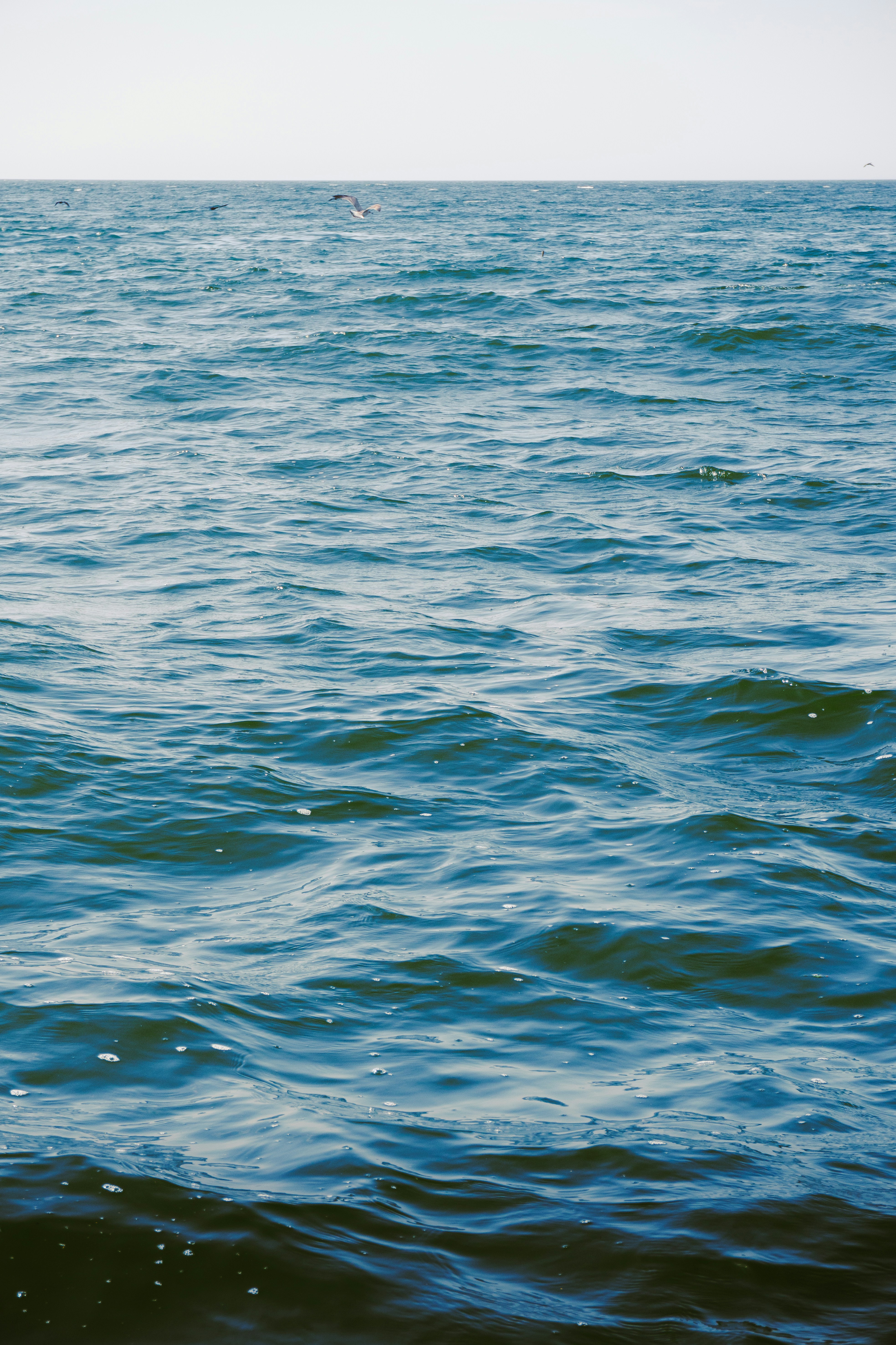 Vast Ocean in Quiet Light
