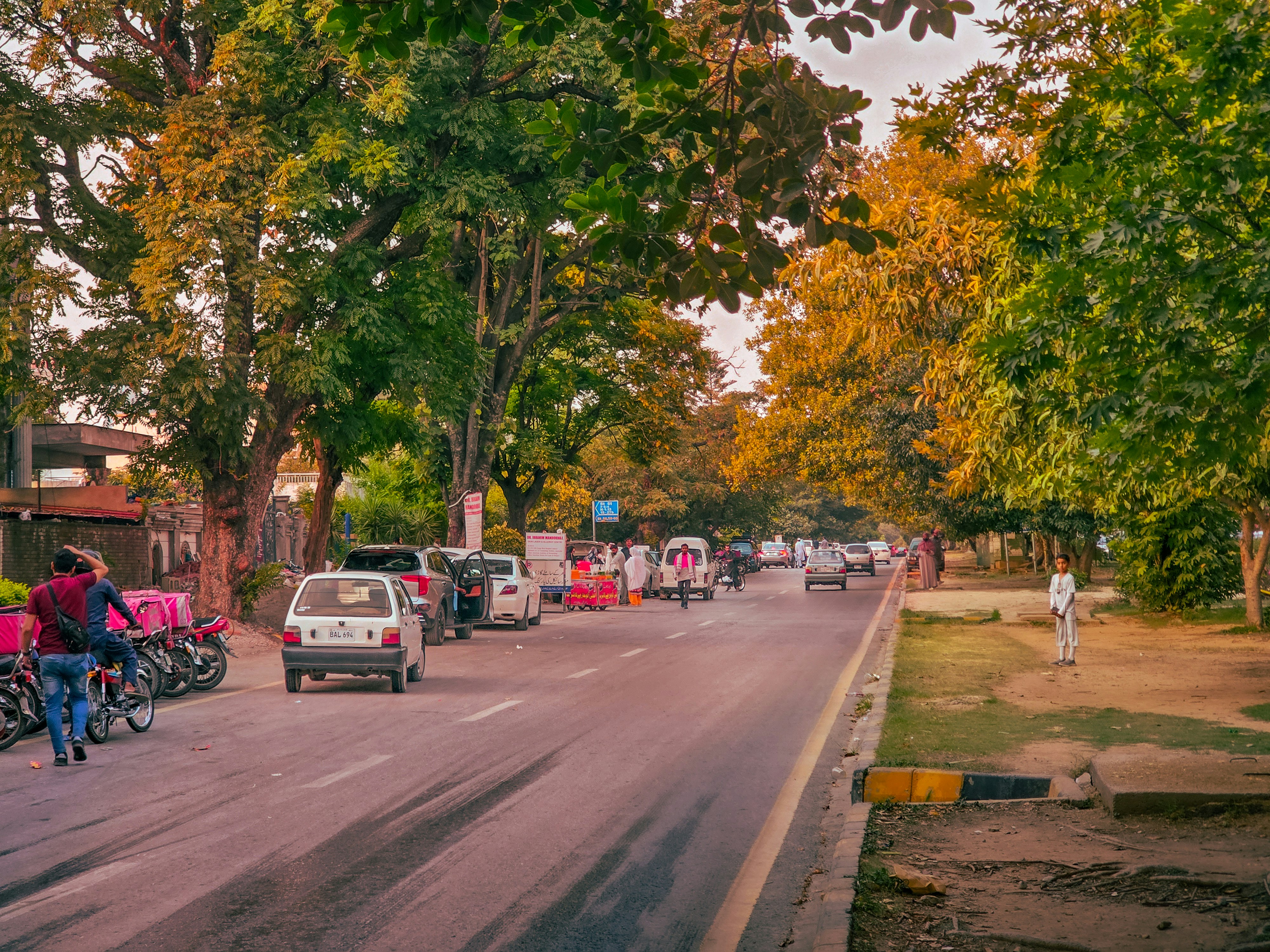 Autumn Avenue: A Quiet City Morning with Distant Pedestrians