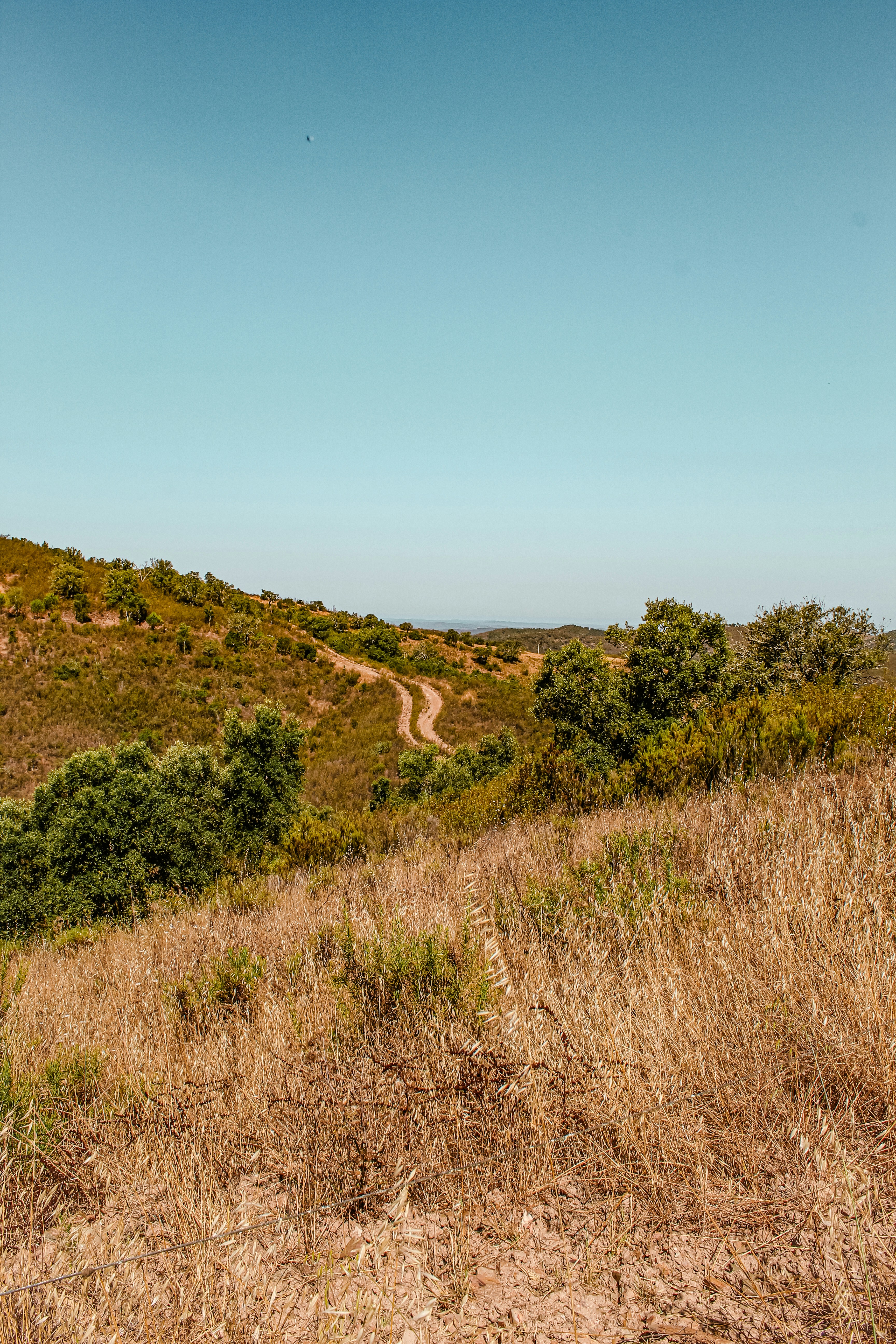 Trail to the distant ridge under a clear blue sky