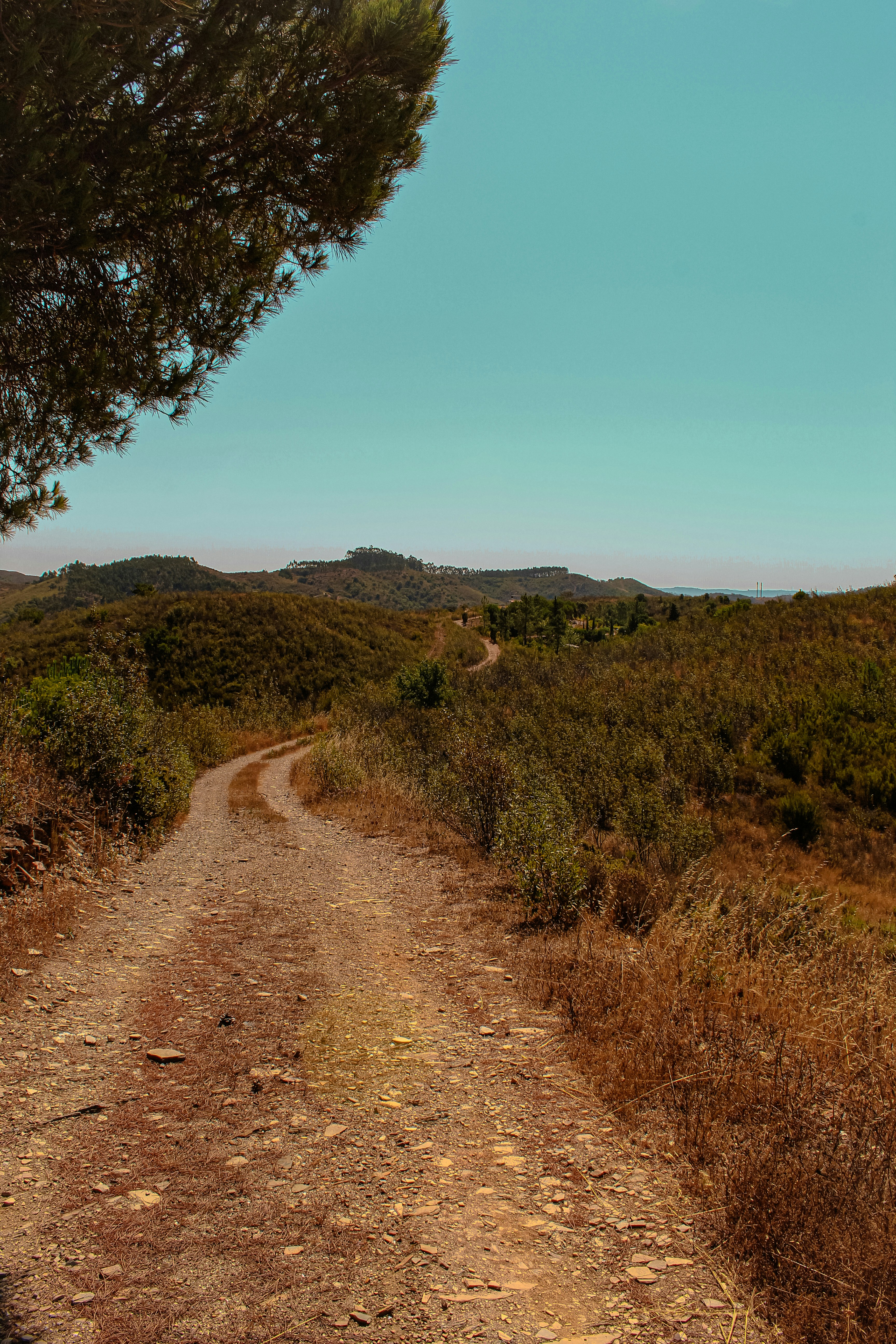 Dusty Path to the Distant Hills