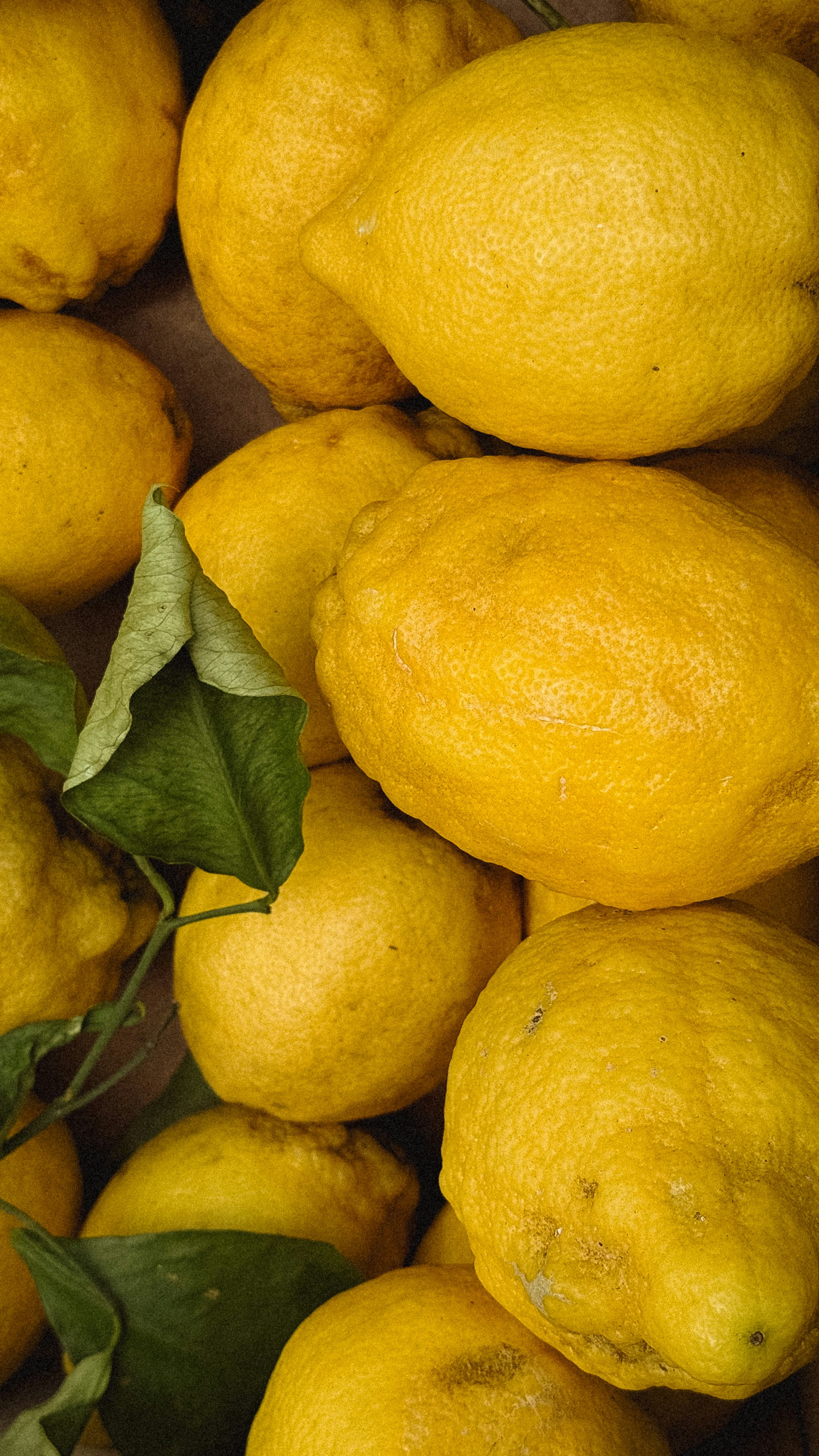 Yellow Citrus Mosaic: Lemons with a Leafy Accent