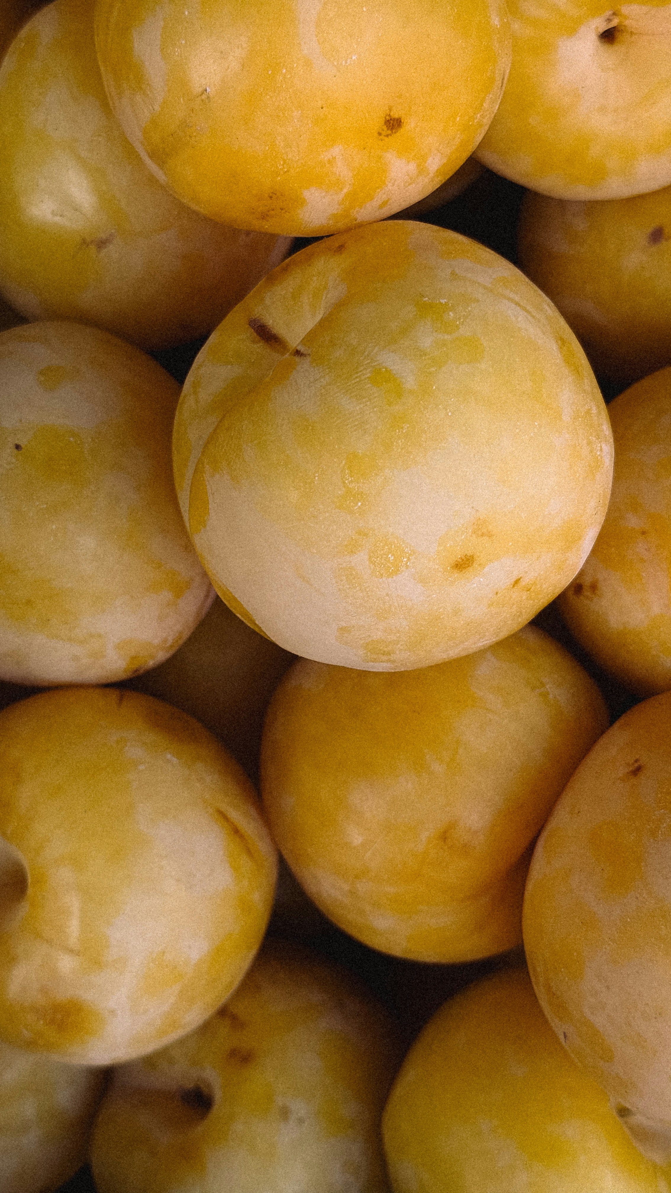 Close-up of plump yellow apricots packed together, highlighting soft textures and warm skin tones.