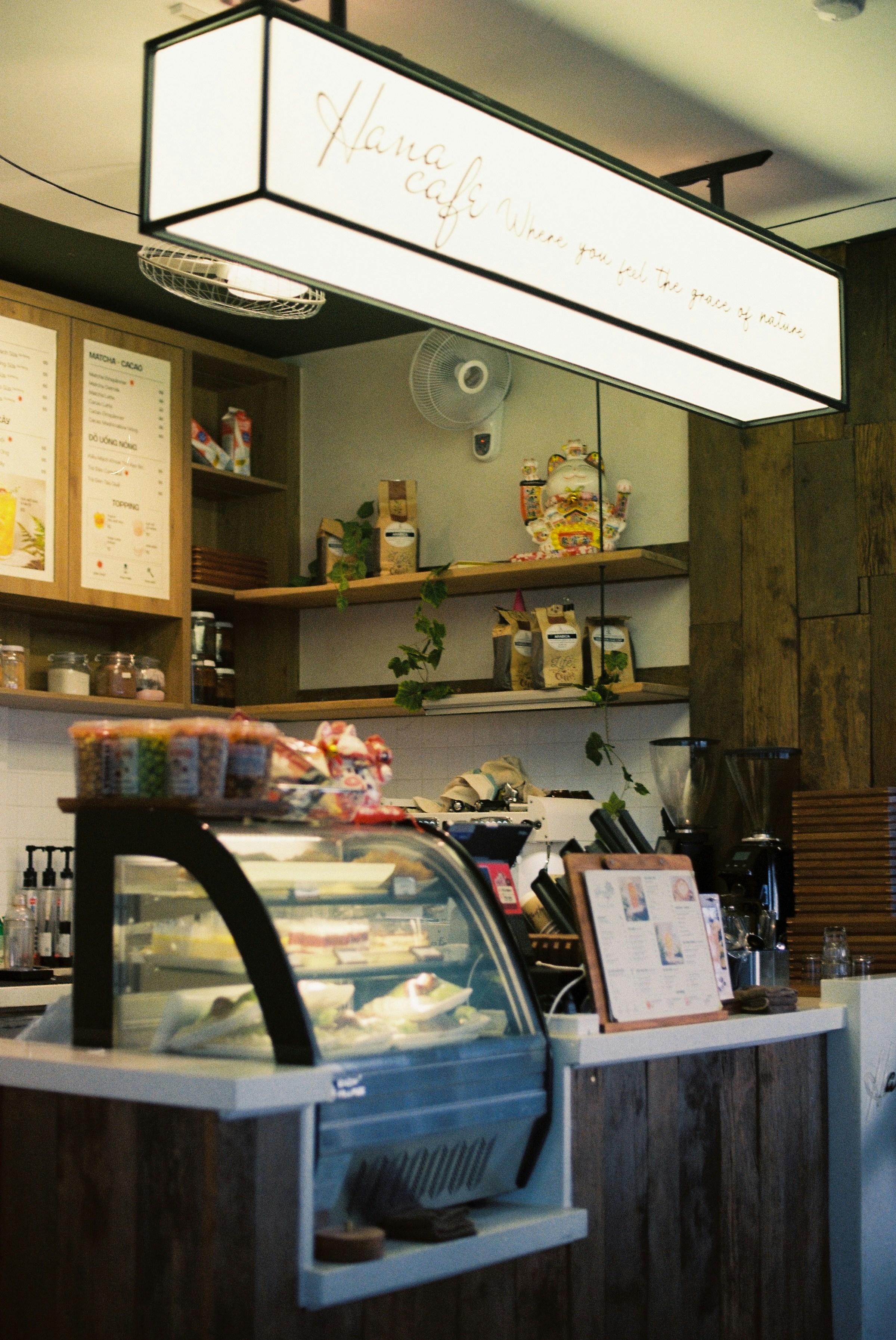 Soft-lit Café Counter with Display Case and Menu Board