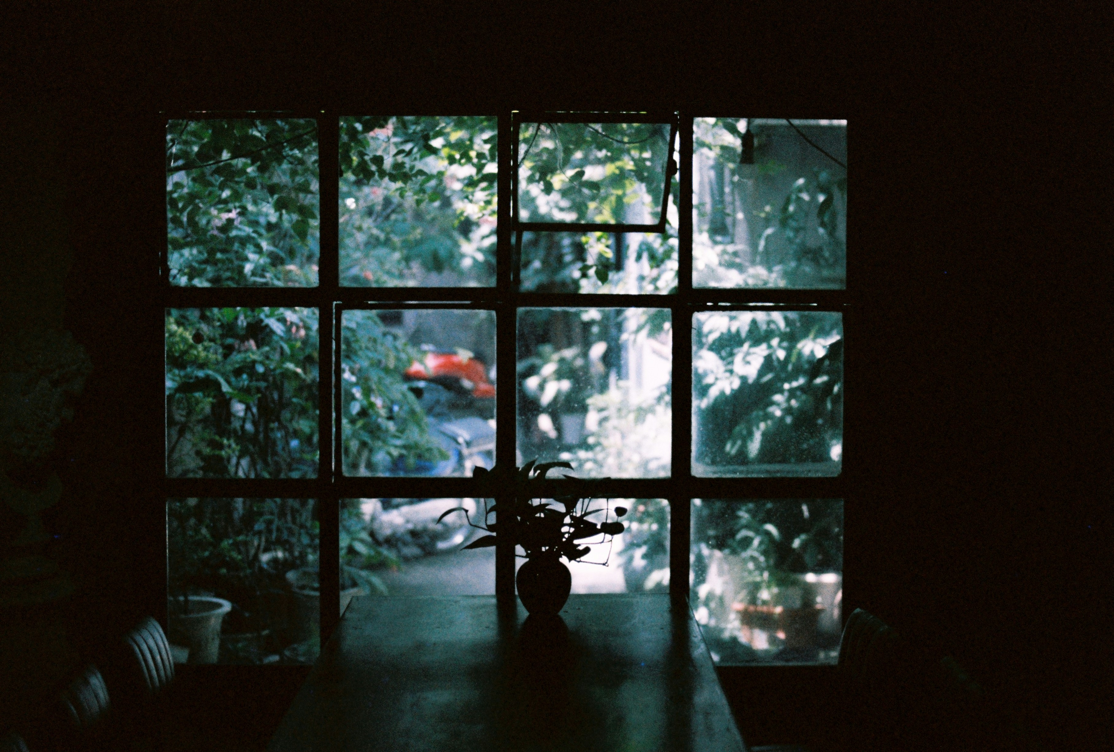 Windowed Garden Through Quiet Grays