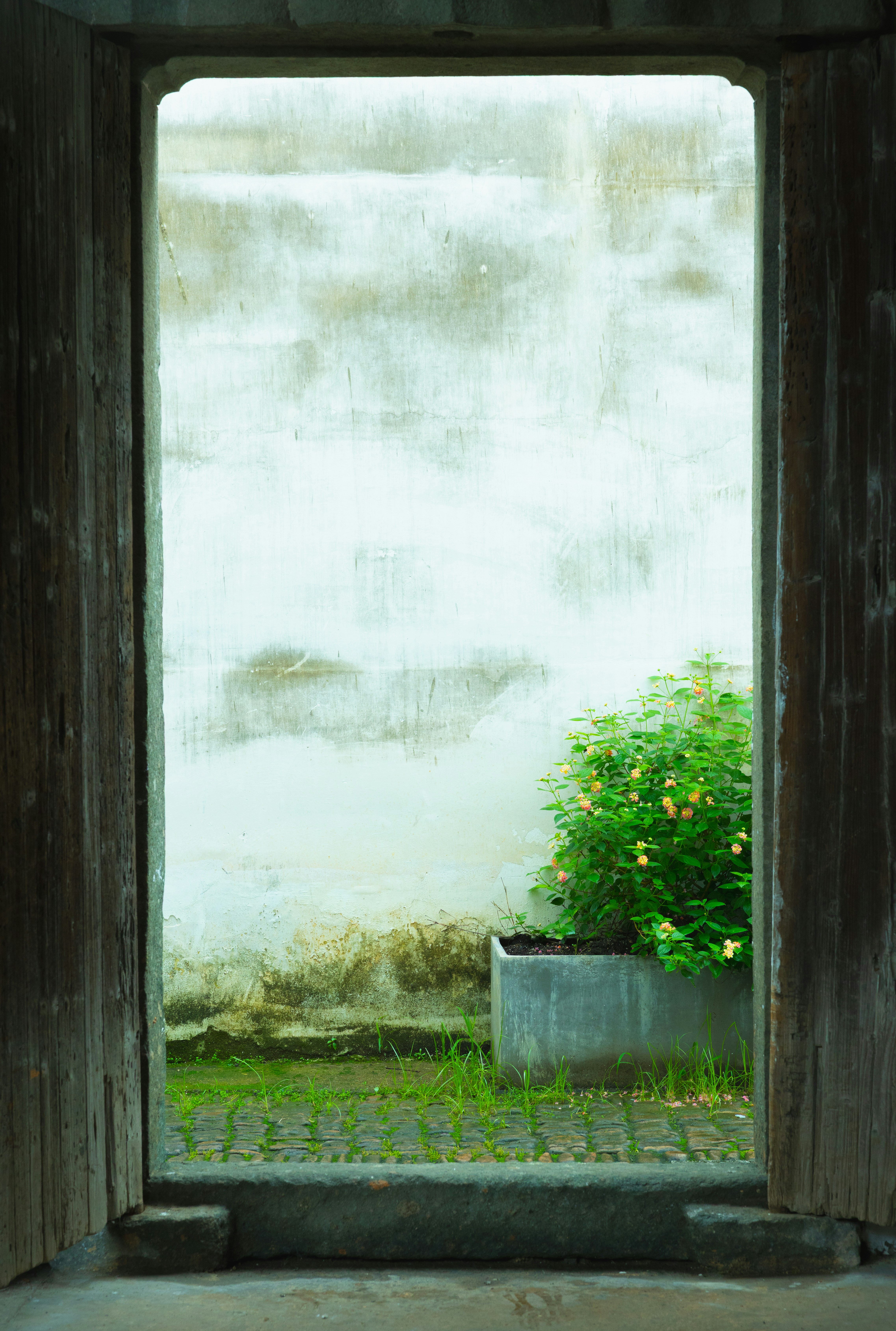 Awaiting the Garden Beyond the Gate