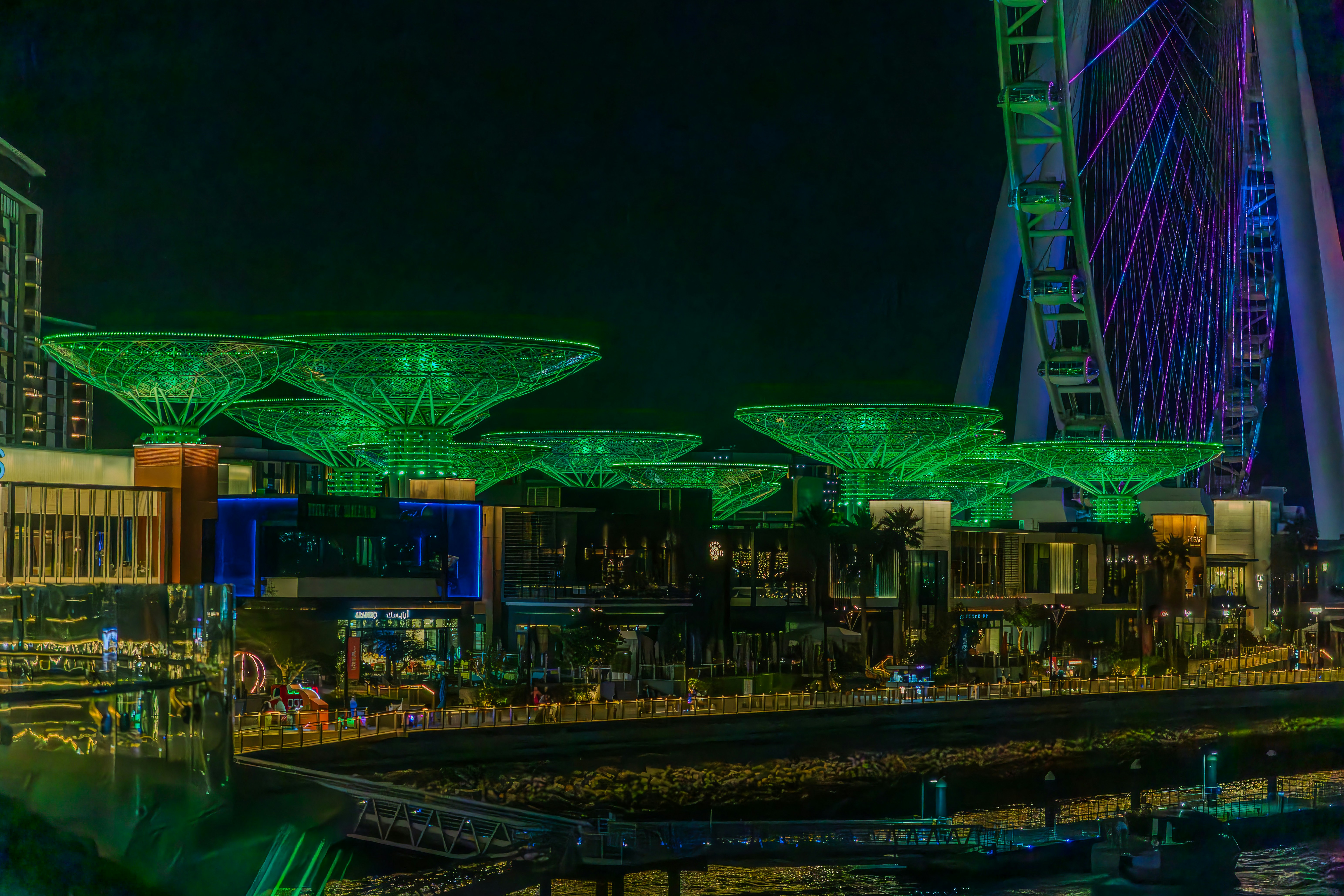 Neon Canopy Over the Waterfront: Nightglow at the Marina