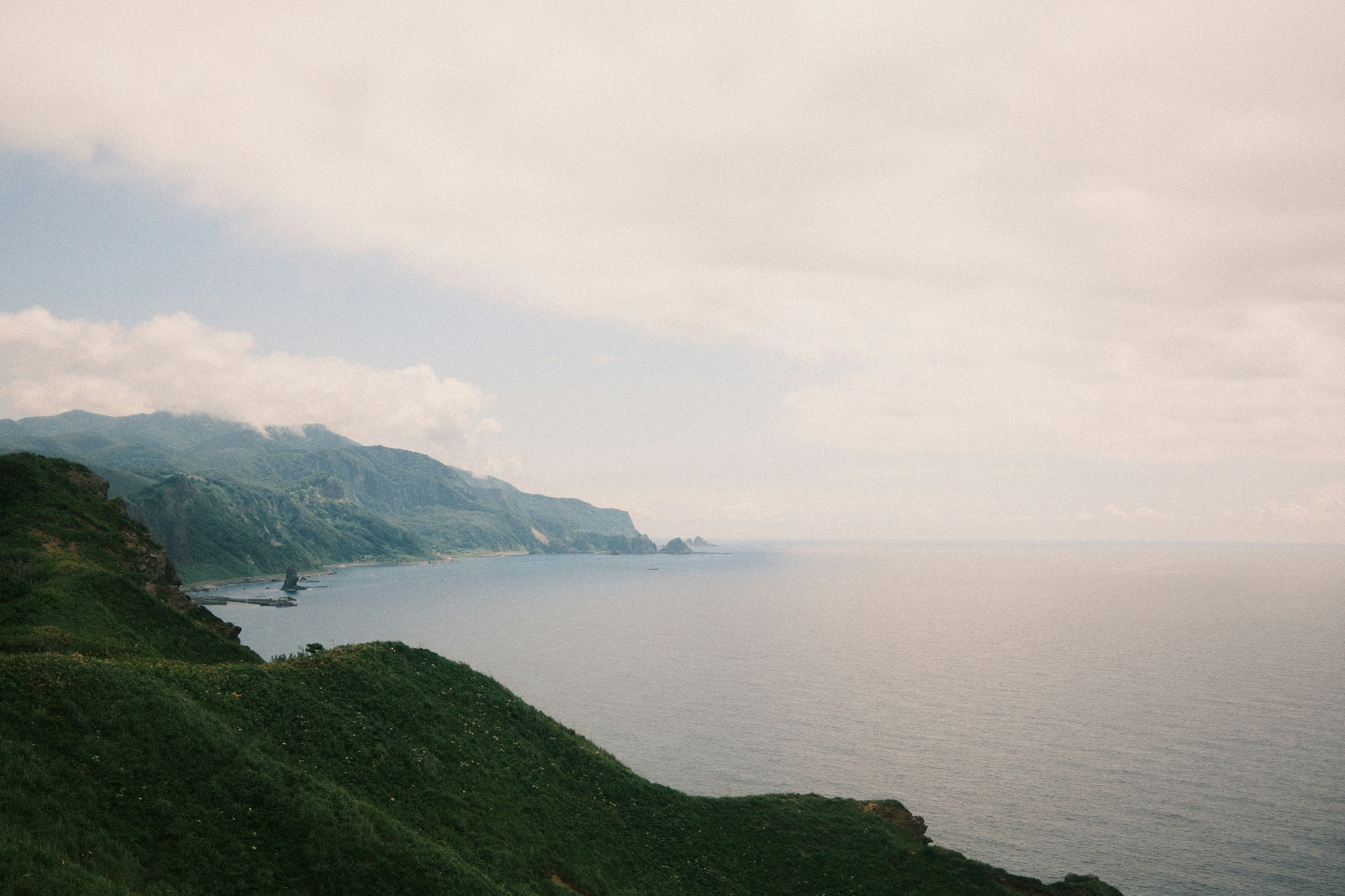 Cliffside Coastline Reaching Toward the Mist