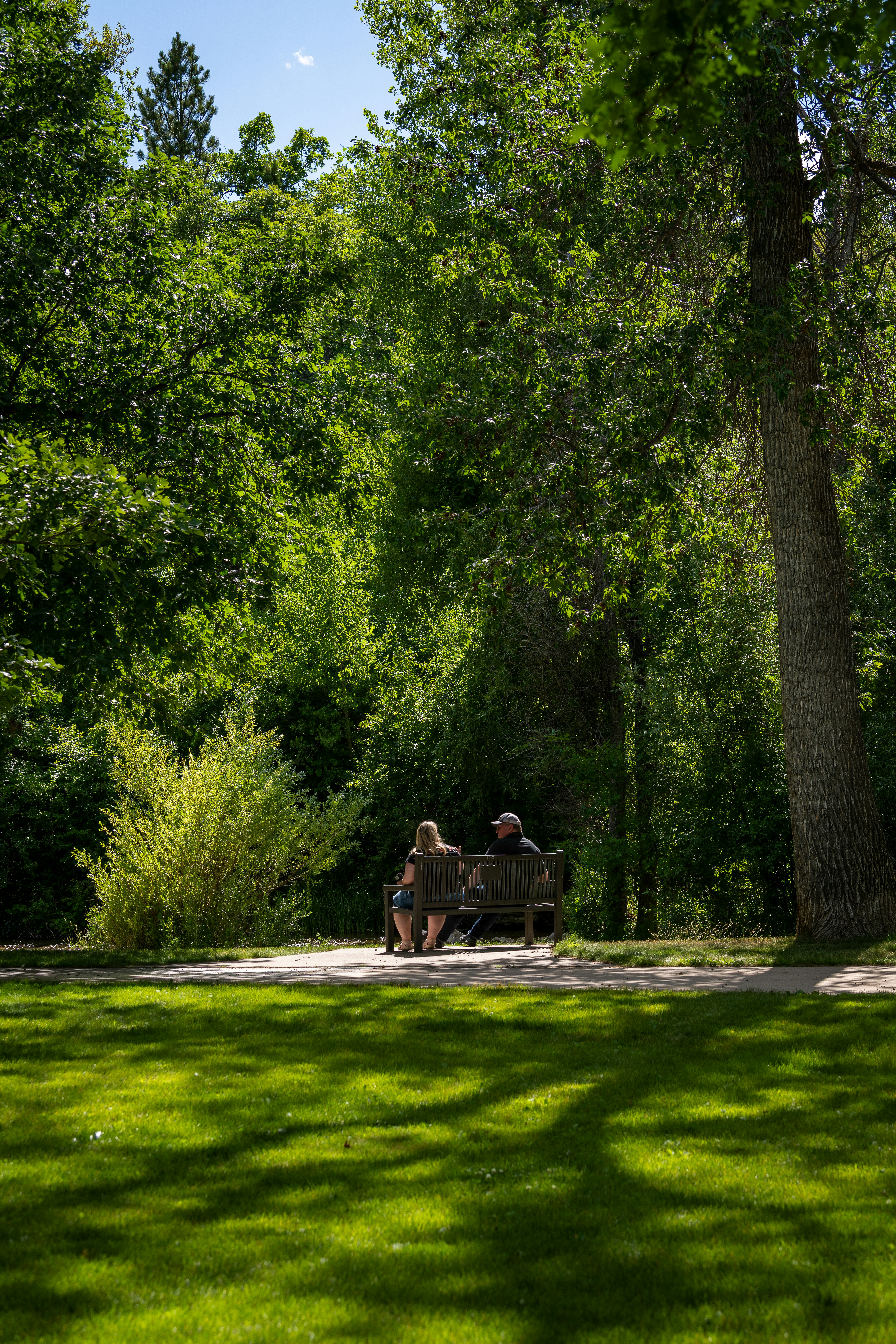 Quiet Moment on a Park Bench Under Dappled Shade