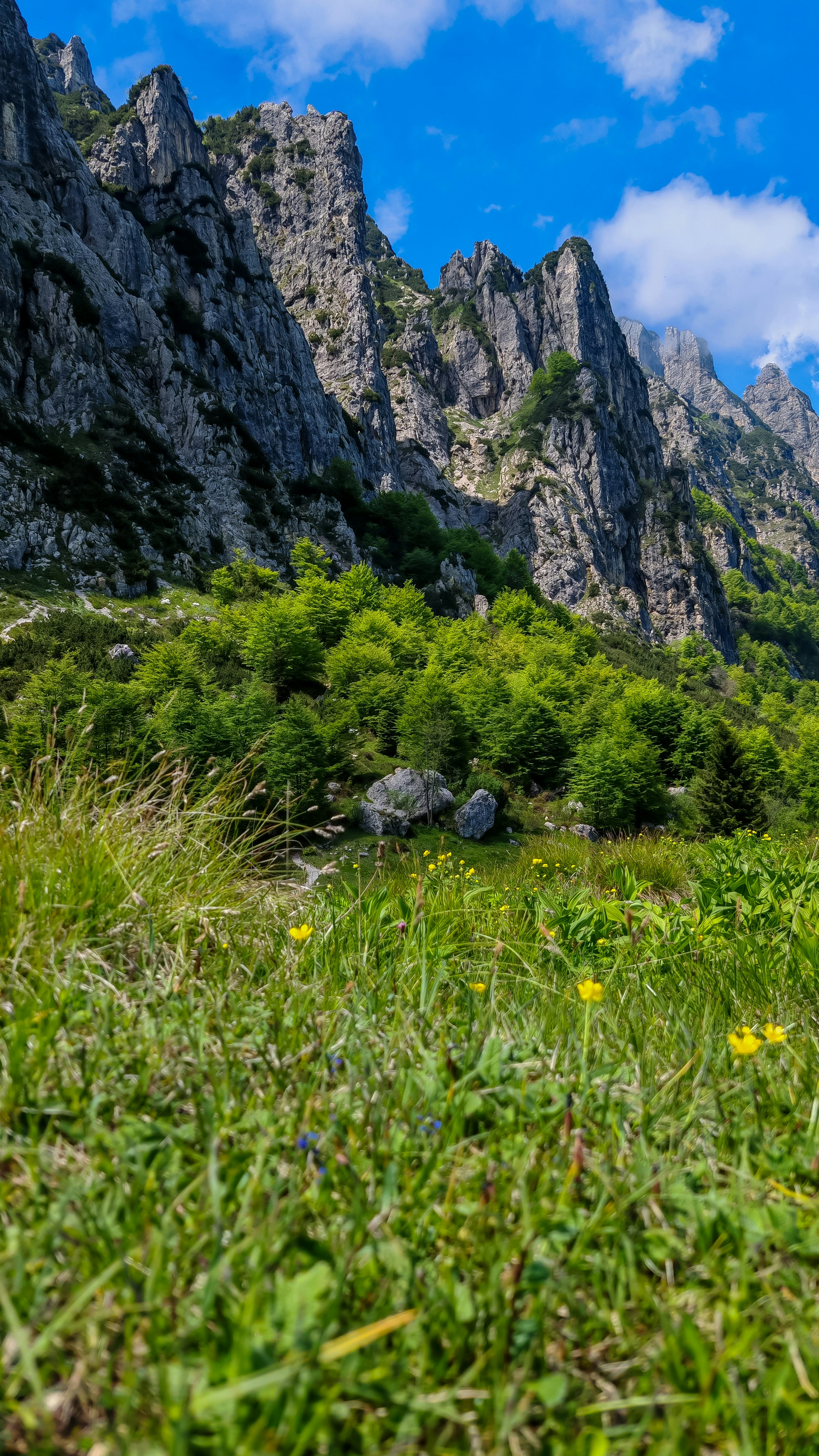Azure Peaks over a Meadow of Wildflowers
