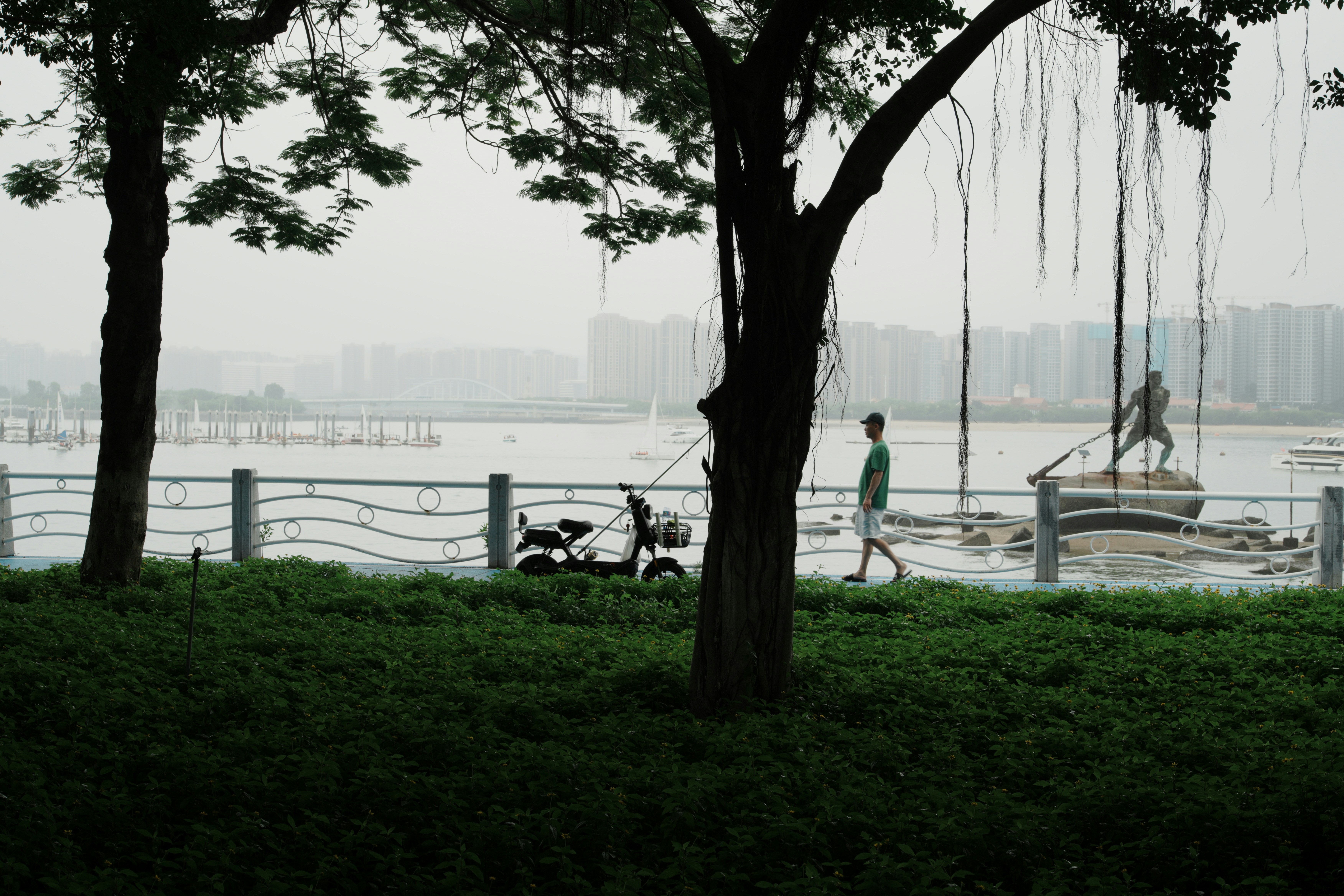 A Quiet Moment by the Waterfront: Trees, Path, and a Distant Cityscape