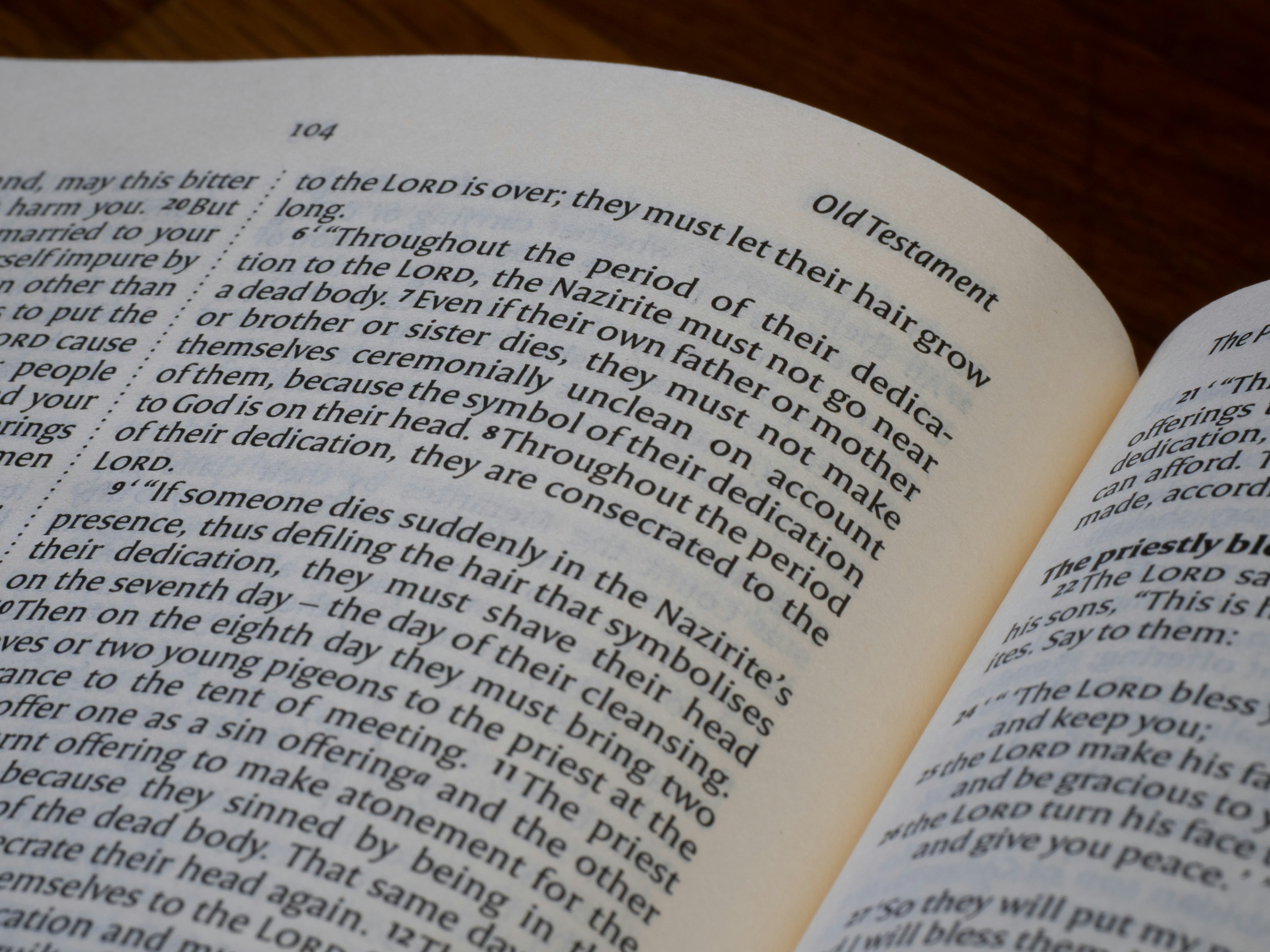 Turned Pages: A Close-Up of Reading in Soft Light